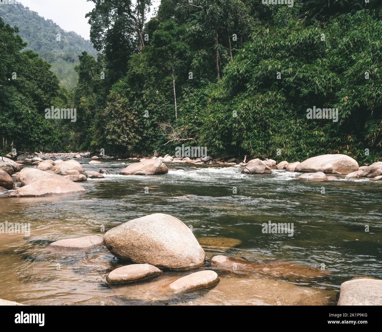 River at Sungai Kampar, Gopeng, Perak Stock Photo - Alamy