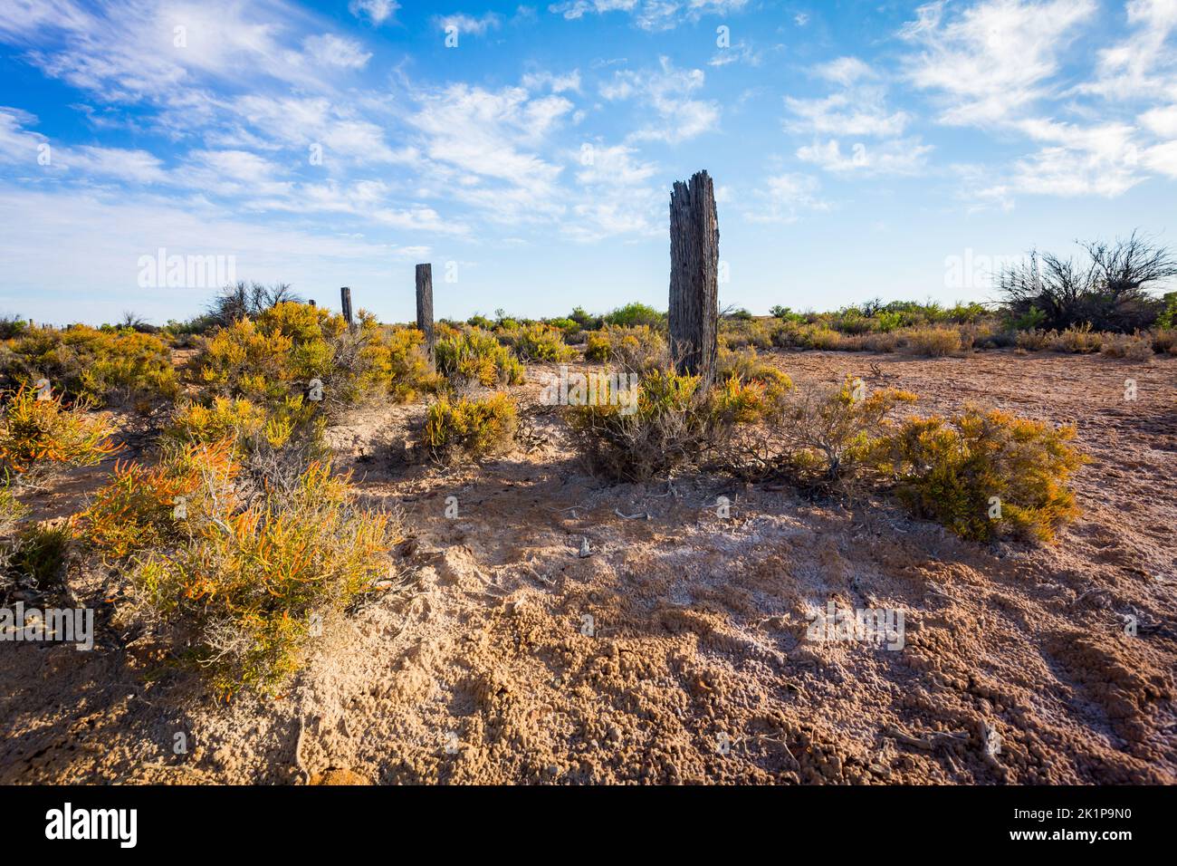 Scrub bush hi-res stock photography and images - Alamy