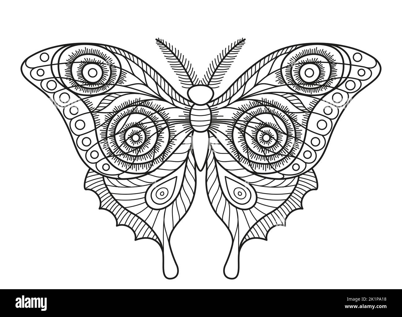 Coloring Butterfly Mandala Butterfly Coloring Pages: 25 Free Printable