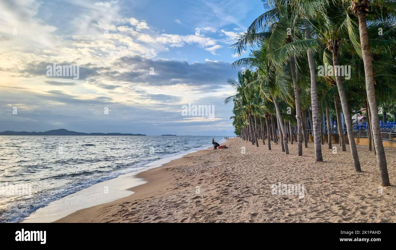 Dongtan Beach Pattaya Jomtien Thailand, palm trees on the beach during ...