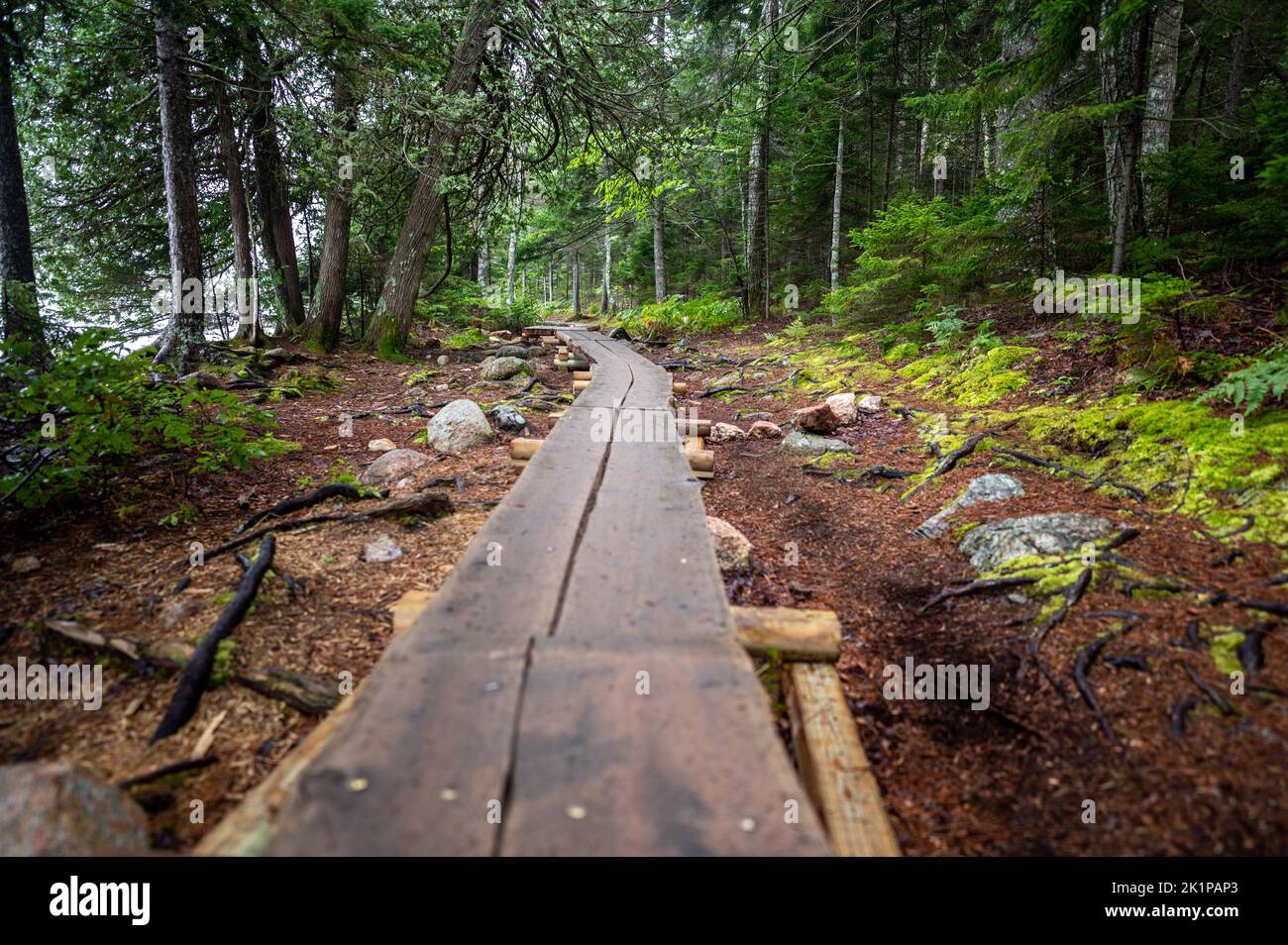 Elevated boardwalk path along western edge of Jordan Pond in Acadia ...