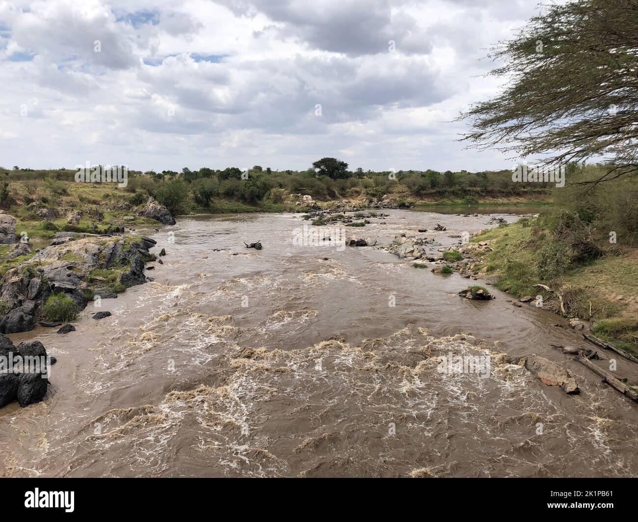 Masai Mara, Kenya. 18th Aug, 2022. The Mara River flows through the ...