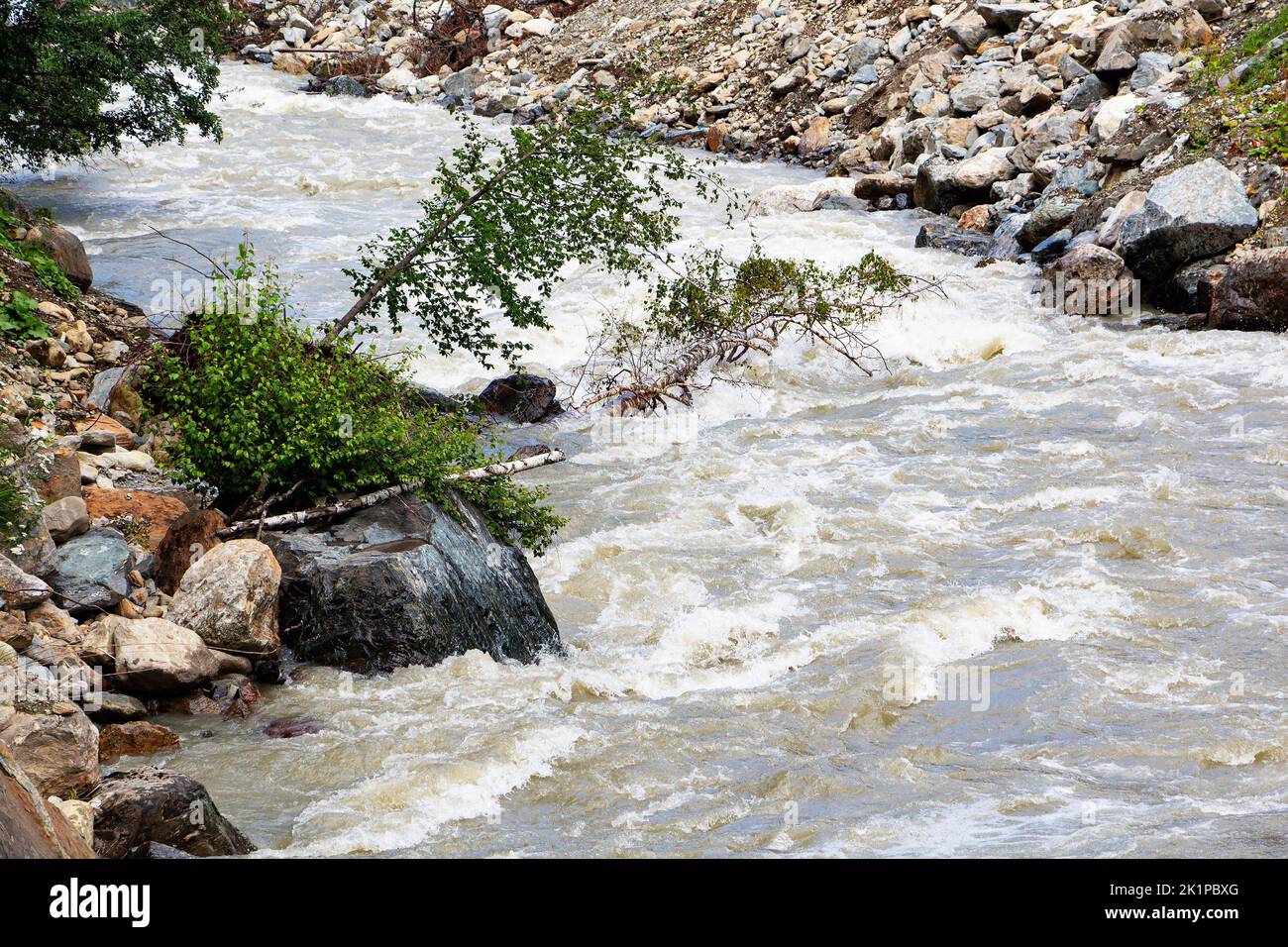 the flow of water in a clear mountain river. Environmental protection Stock Photo - Alamy