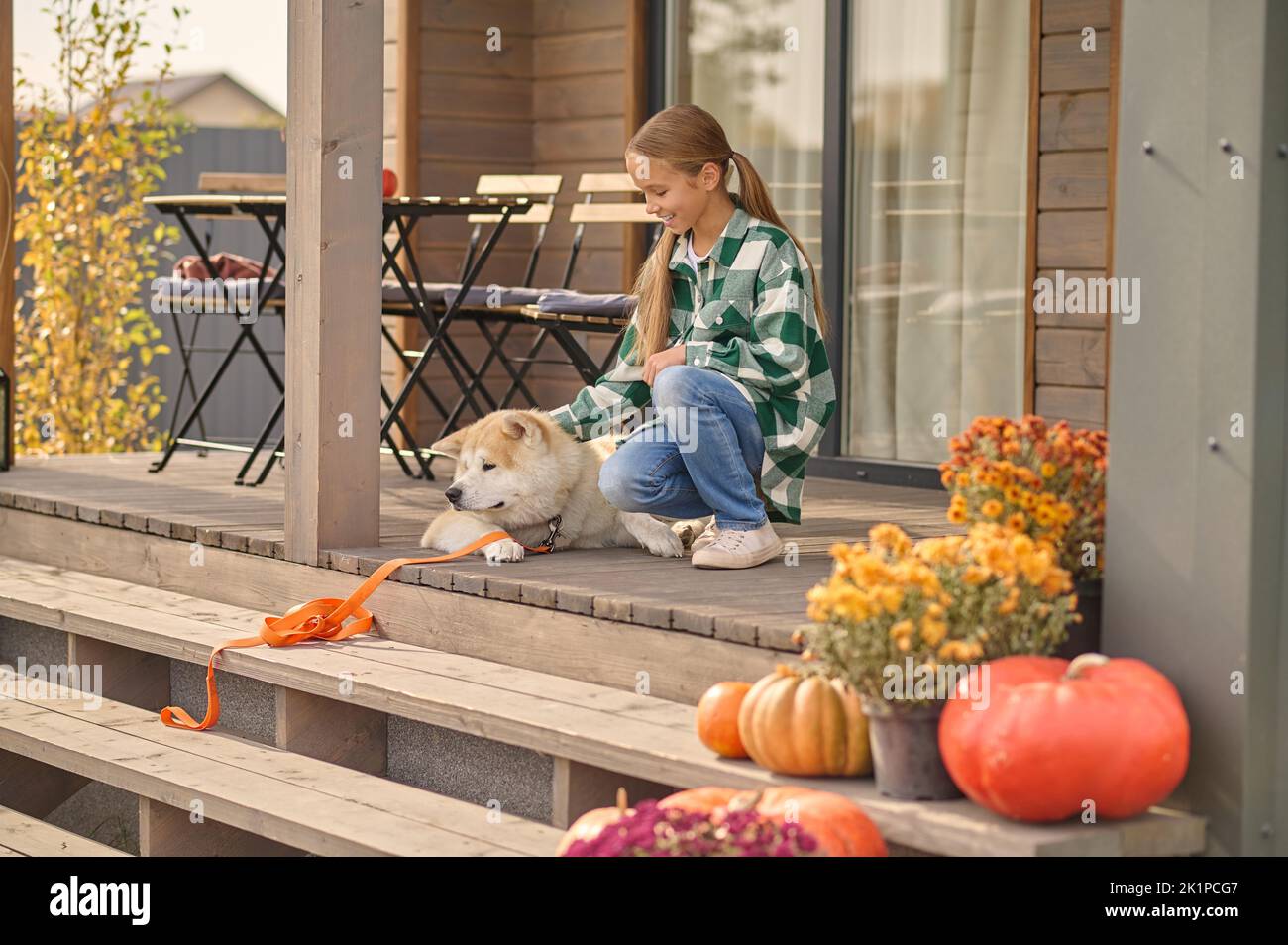 Cheerful young lady enjoying the company of her dog Stock Photo - Alamy