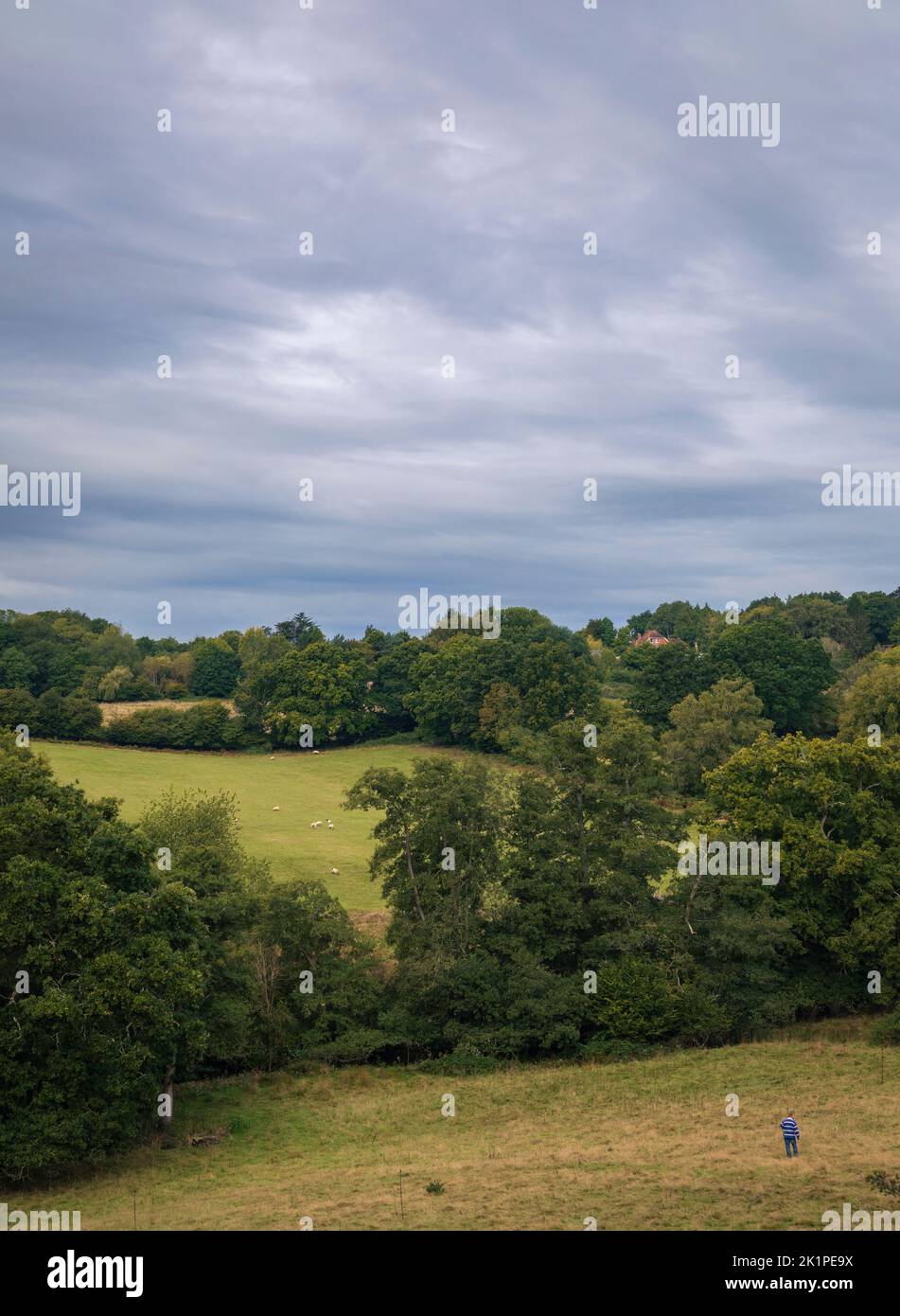 morning bike ride along the cuckoo trail from Polegate to Heathfield in ...