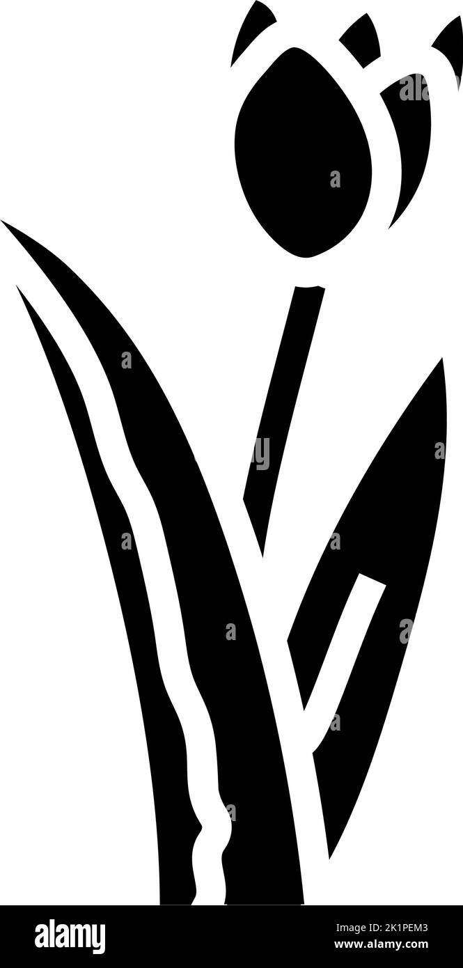 tulip flower spring glyph icon vector illustration Stock Vector Image ...