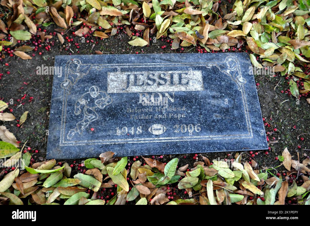 Costa Mesa, California, USA 17th September Professional Footballl ...