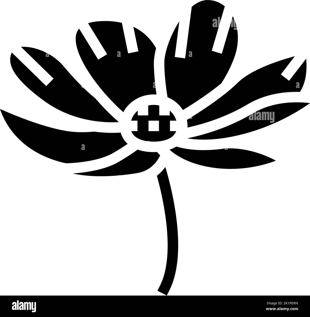 cosmos flower spring glyph icon vector illustration Stock Vector Image ...