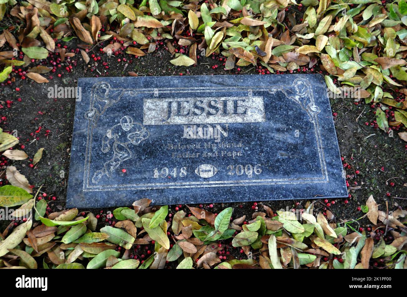 Costa Mesa, California, USA 17th September Professional Footballl ...