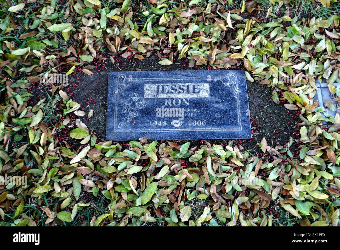 Costa Mesa, California, USA 17th September Professional Footballl ...