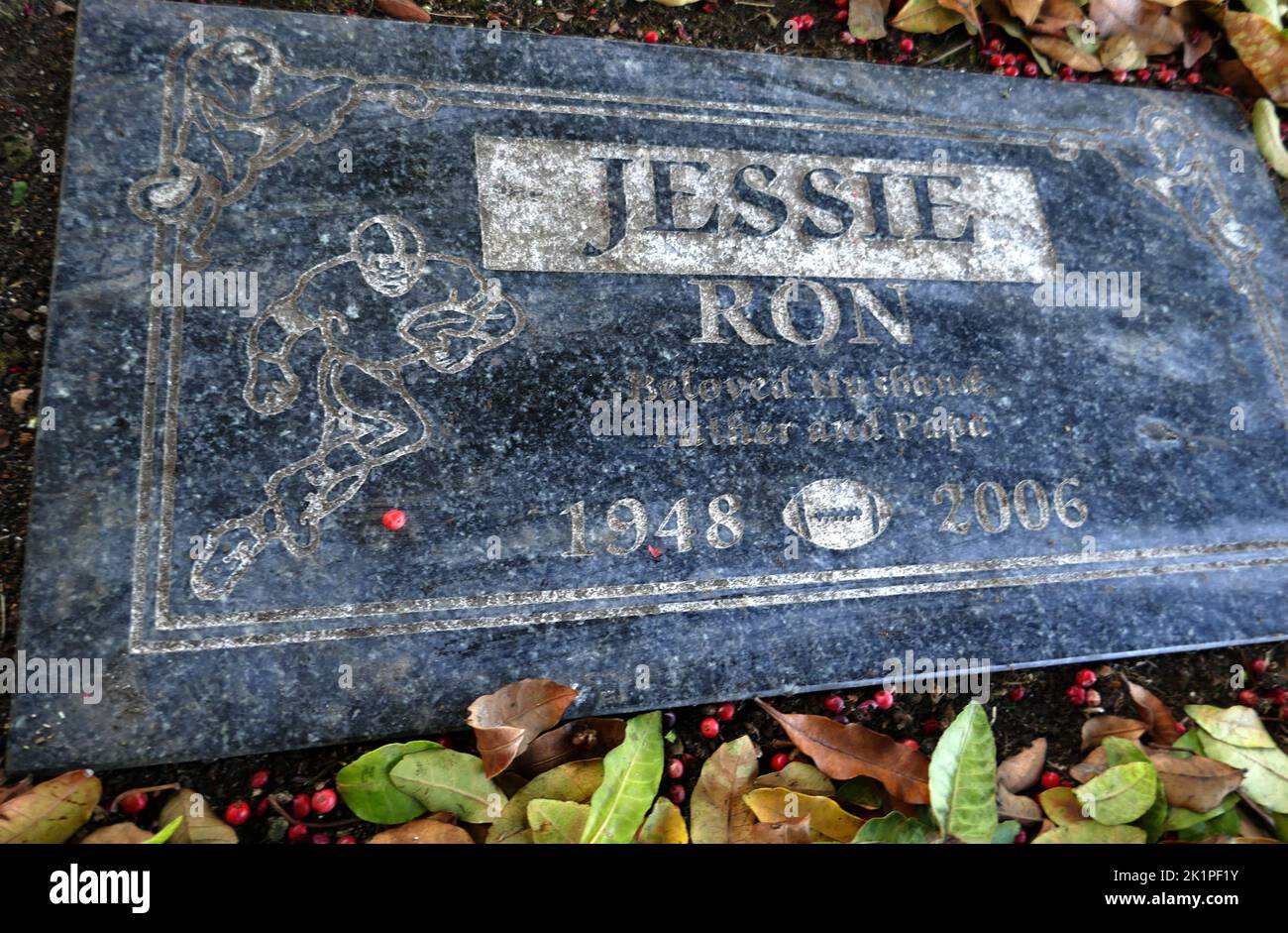 Costa Mesa, California, USA 17th September Professional Footballl ...