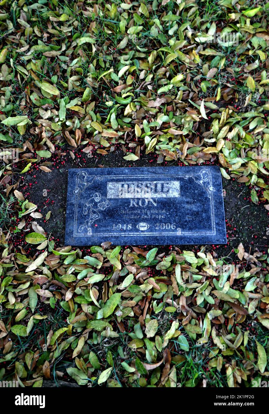 Costa Mesa, California, USA 17th September Professional Footballl ...