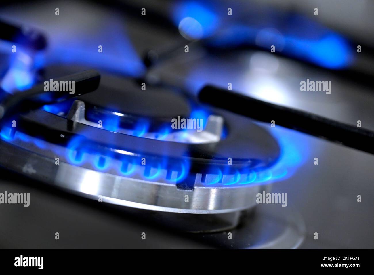 Blue gas flames, gas cooker, gas stove. Janerik Henriksson / TT / code ...