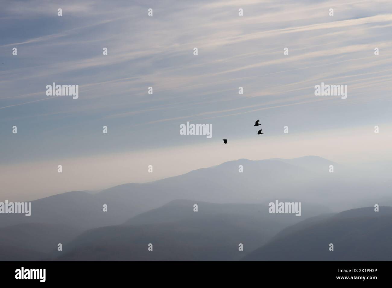 Flight of ravens over the Bükk Mountains in Hungary Stock Photo - Alamy