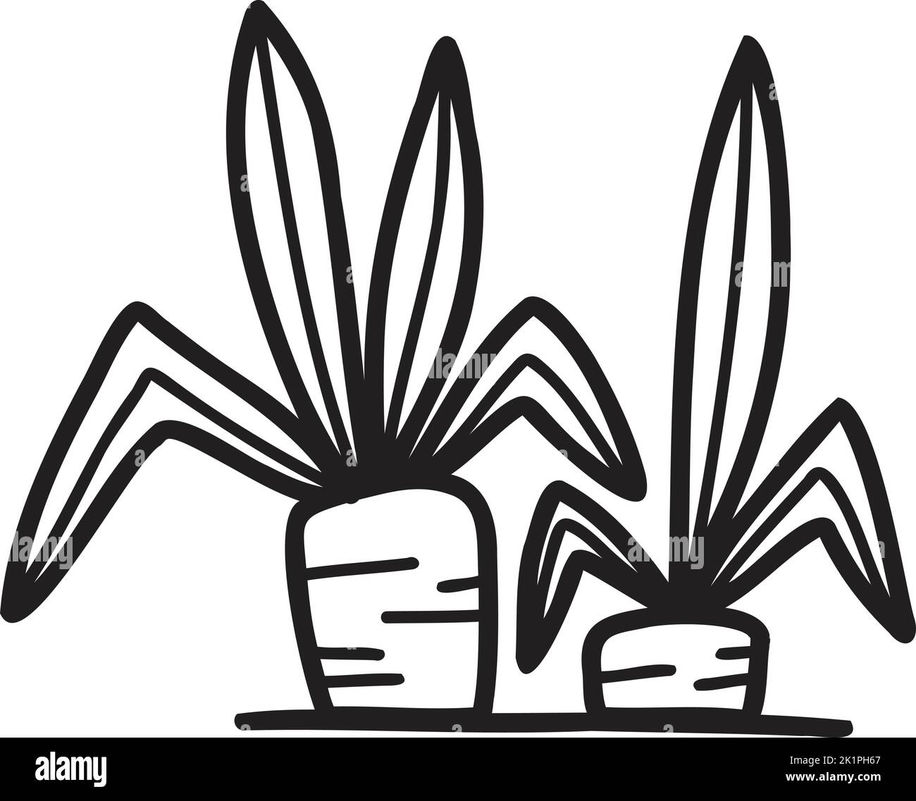 Hand Drawn carrots planted in the ground illustration isolated on ...