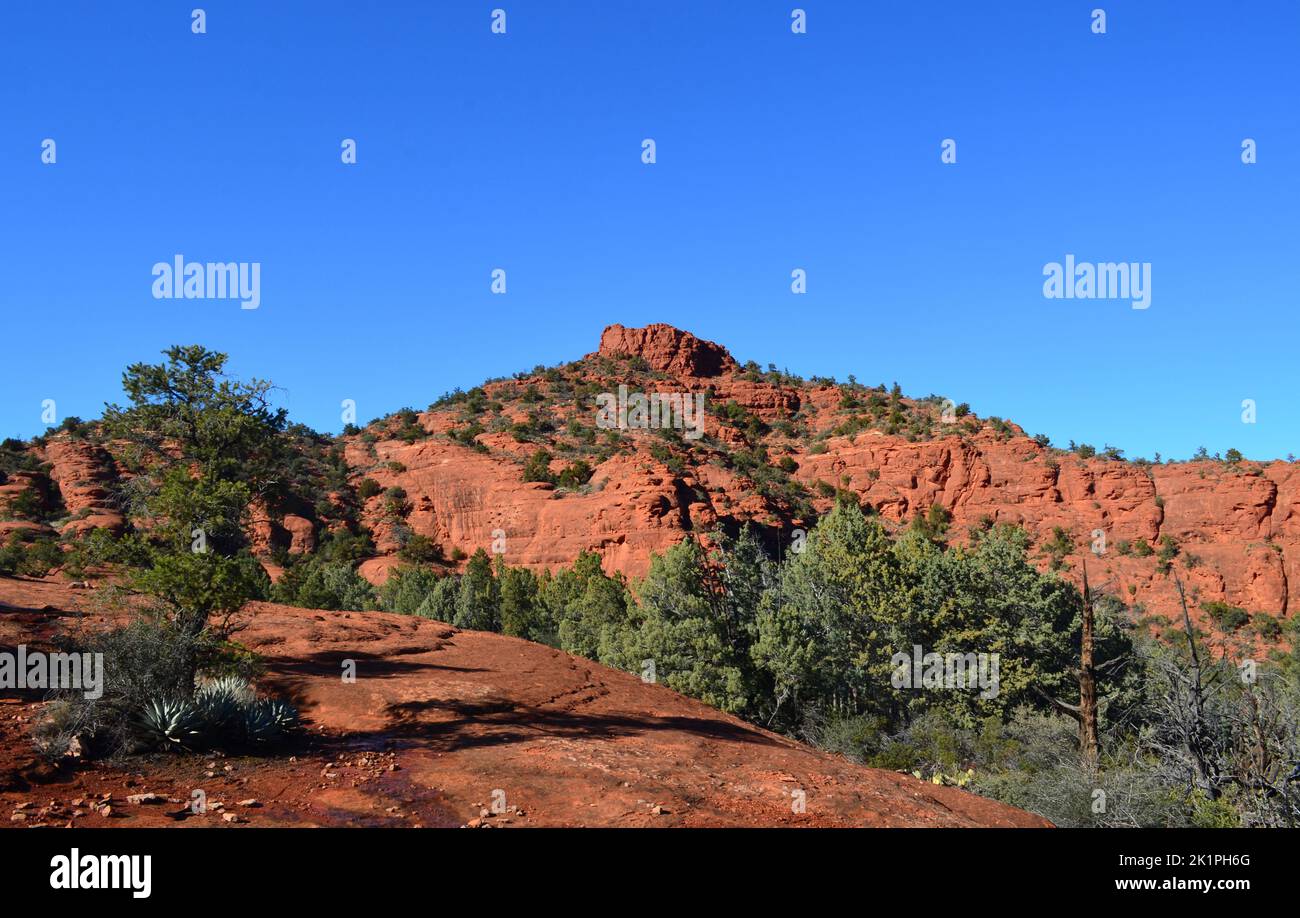 Vibrant gorgeous landscape of colorful red rocks in Sedona Arizona ...