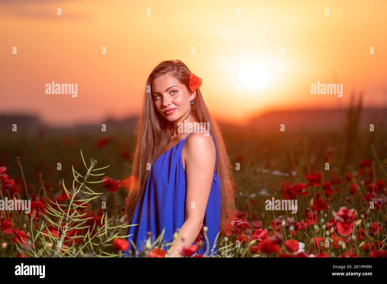 Woman in poppy field hi-res stock photography and images - Alamy
