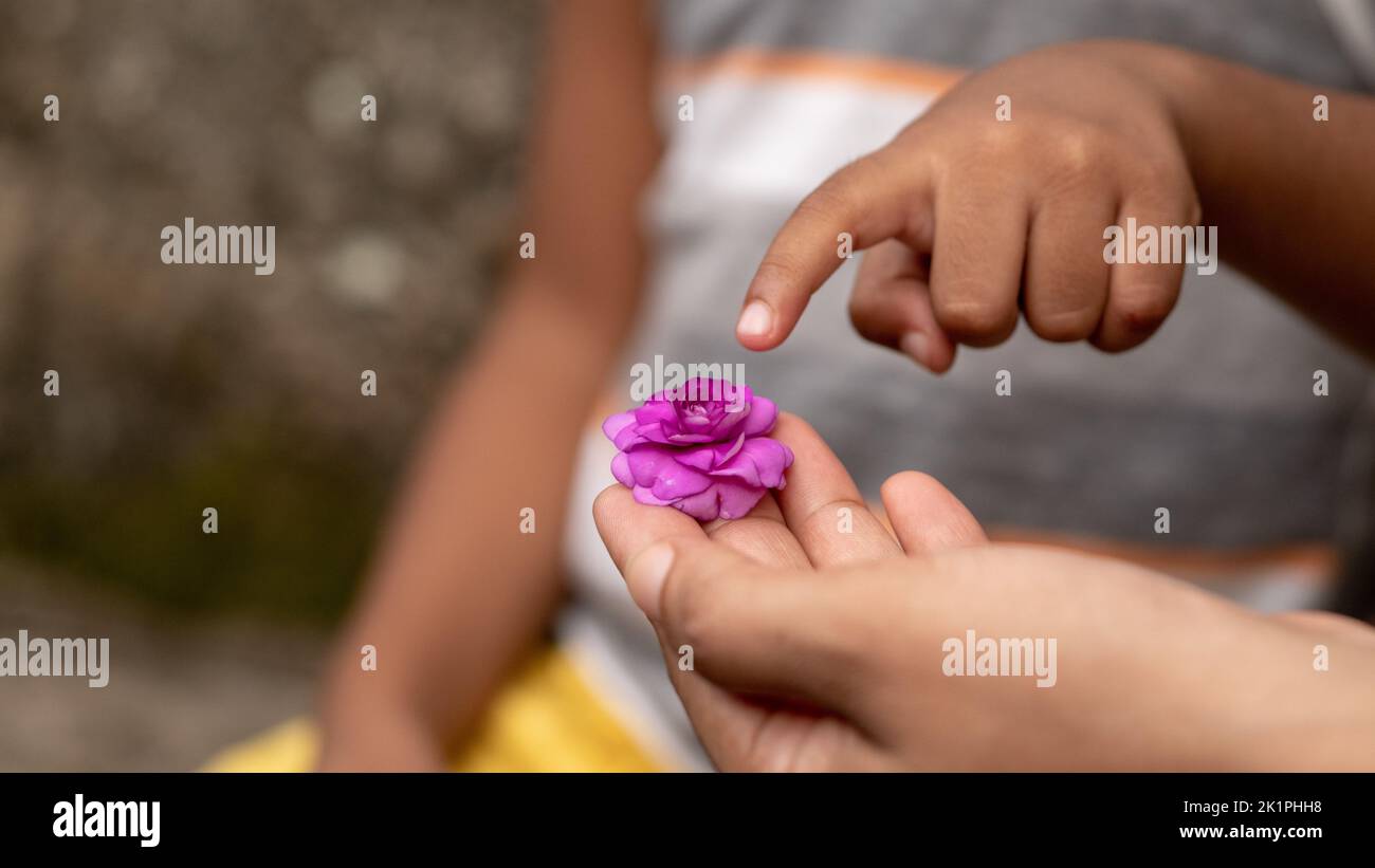 Women/parent wants kid touch her flower with his finger Stock Photo - Alamy