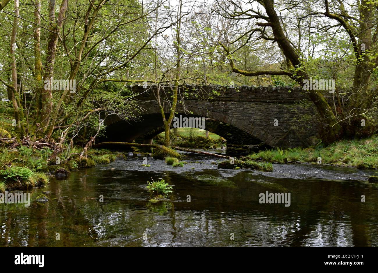 Stone bridge arched over a river in a wooded grove of trees Stock Photo ...