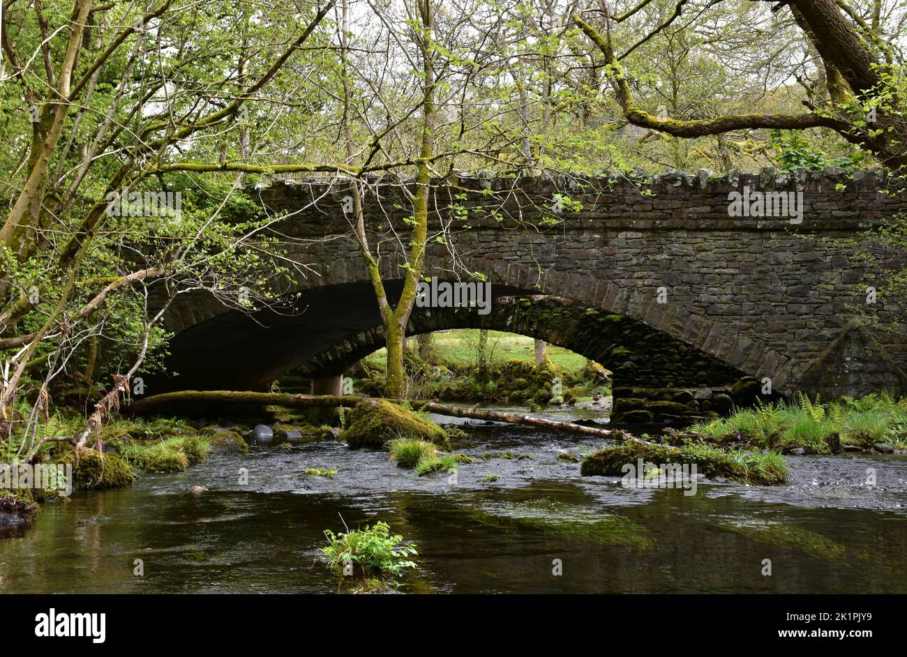 Scenic old arched stone bridge over a flowing river surrounded by trees ...