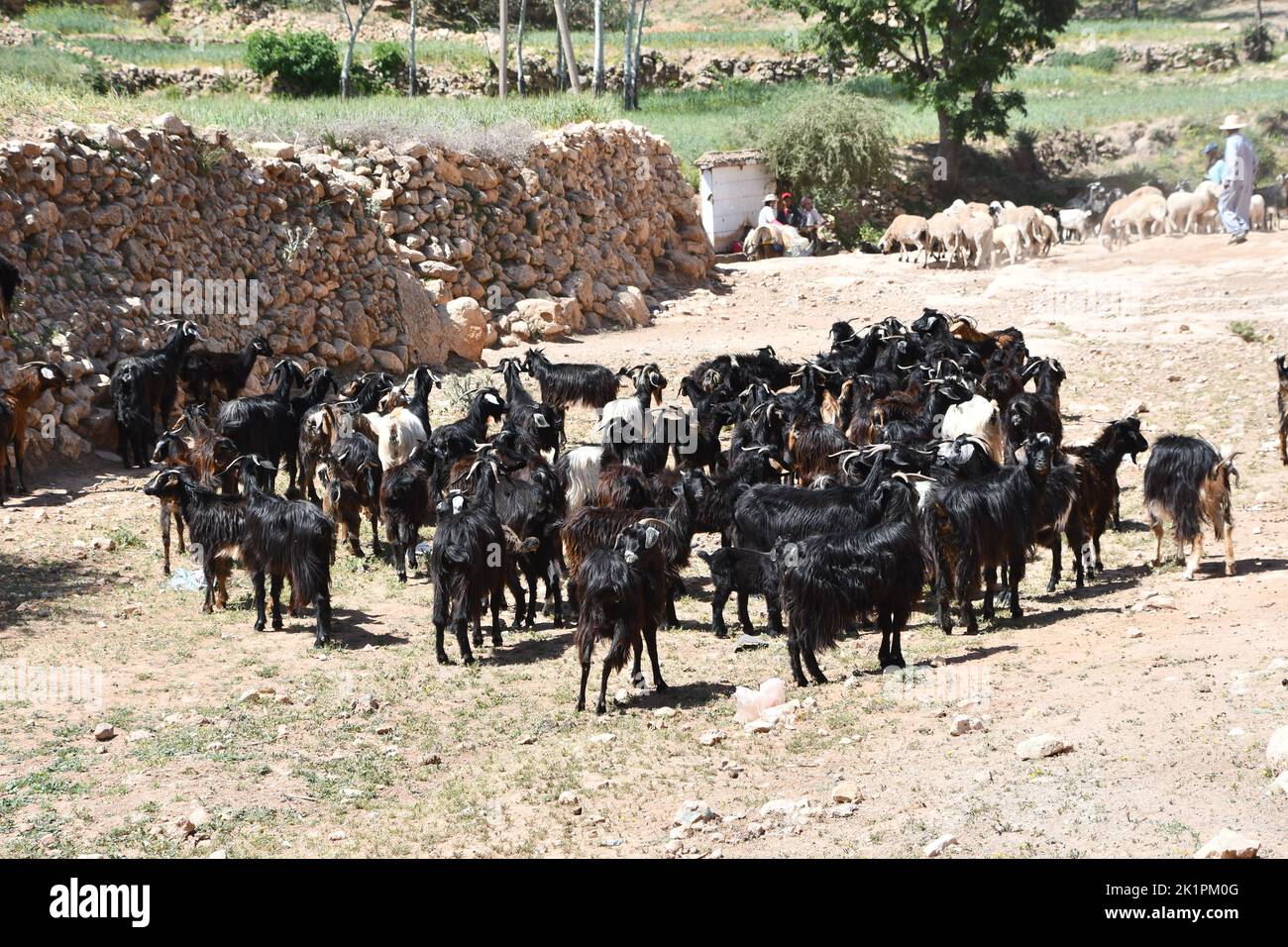 Rural damascus hi-res stock photography and images - Alamy
