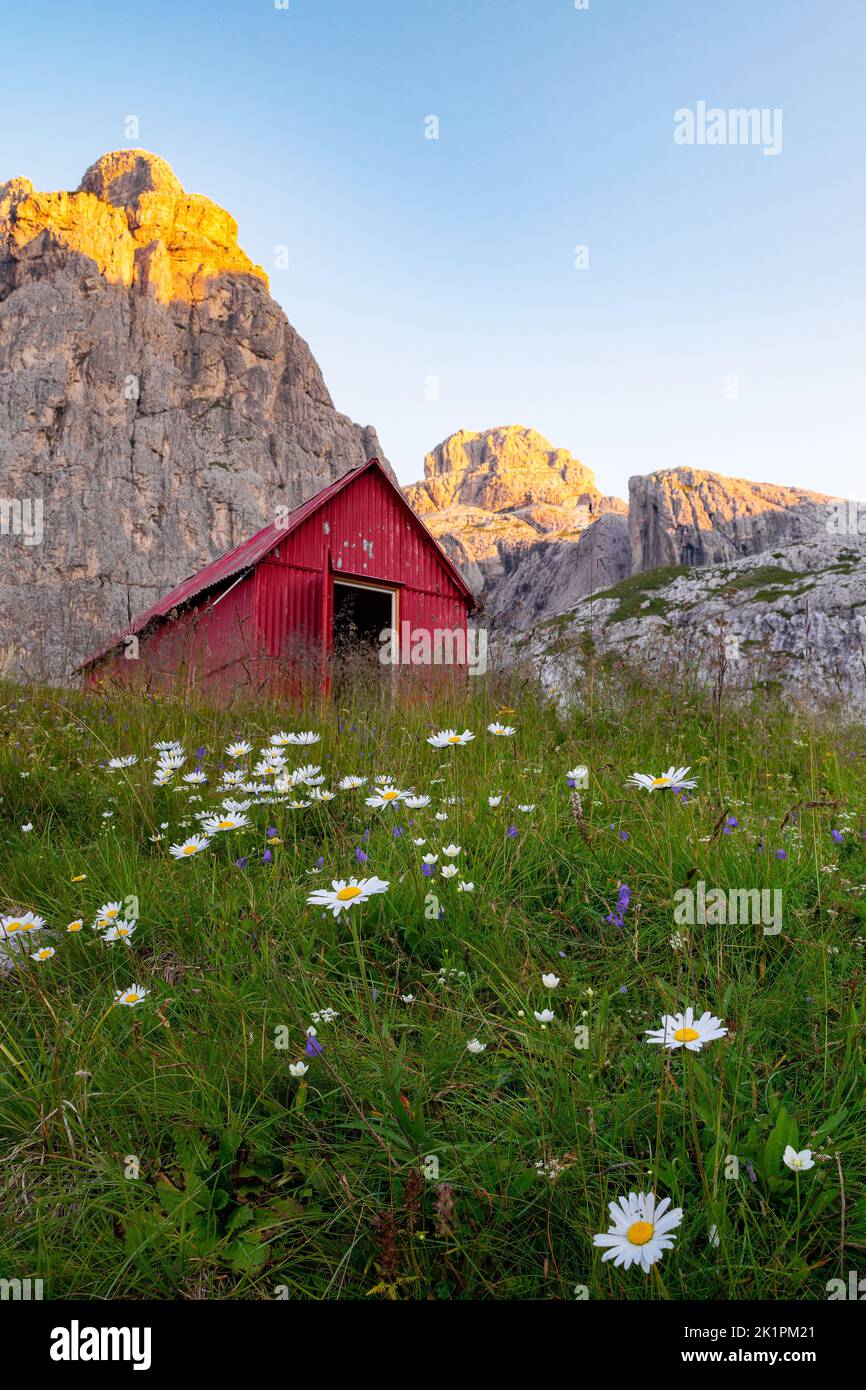 A vertical shot of a red shack in Val Canzoi, bivacco Feltre Walter ...