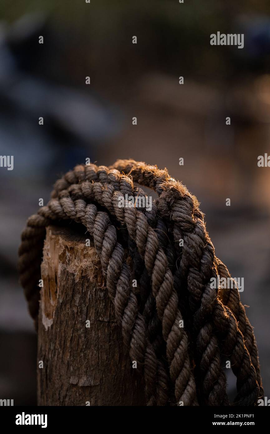 A vertical shot of tied rope on a wood log Stock Photo - Alamy