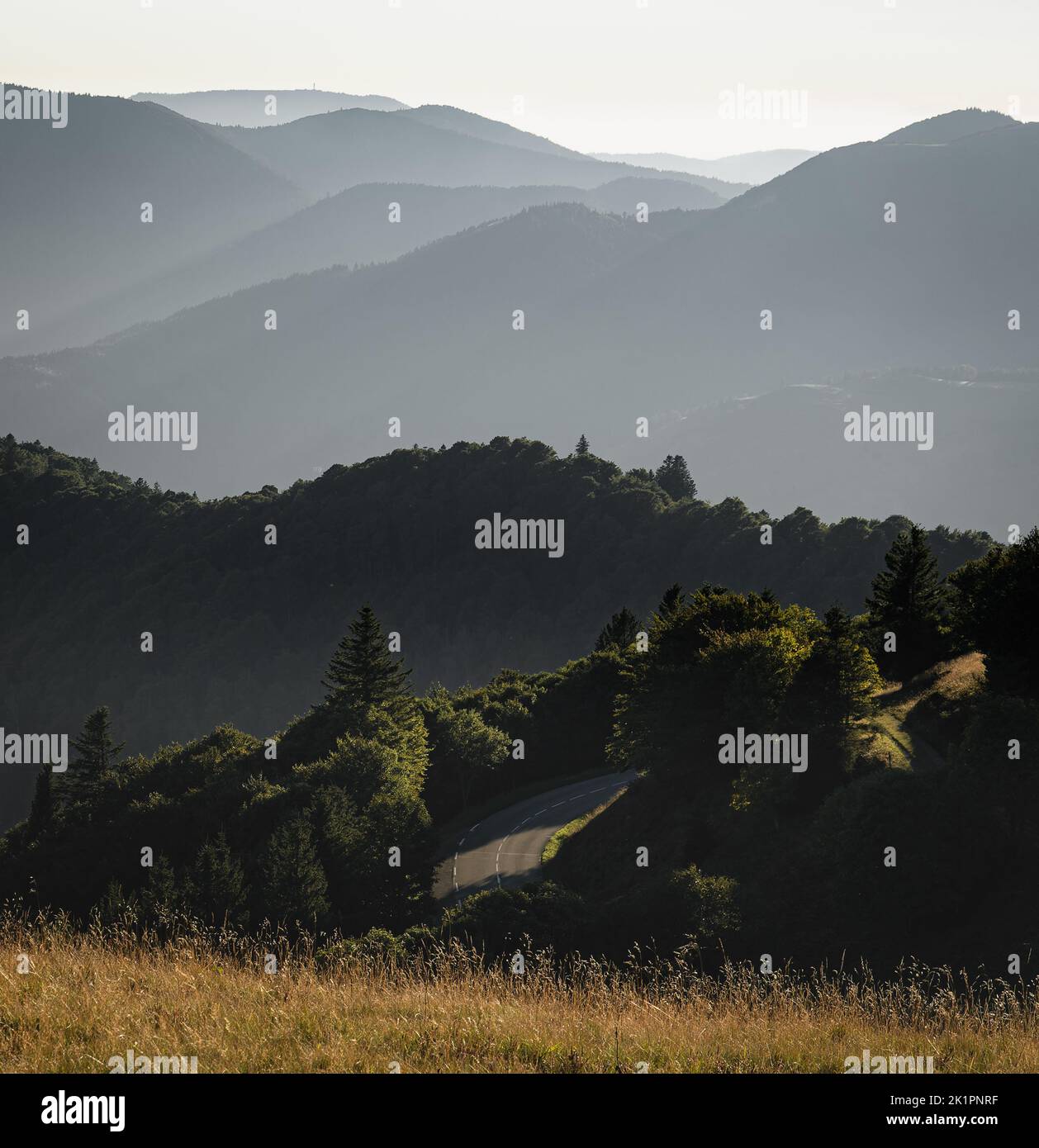 The empty asphalt Route des Cretes road in the Vosges Mountains Stock ...