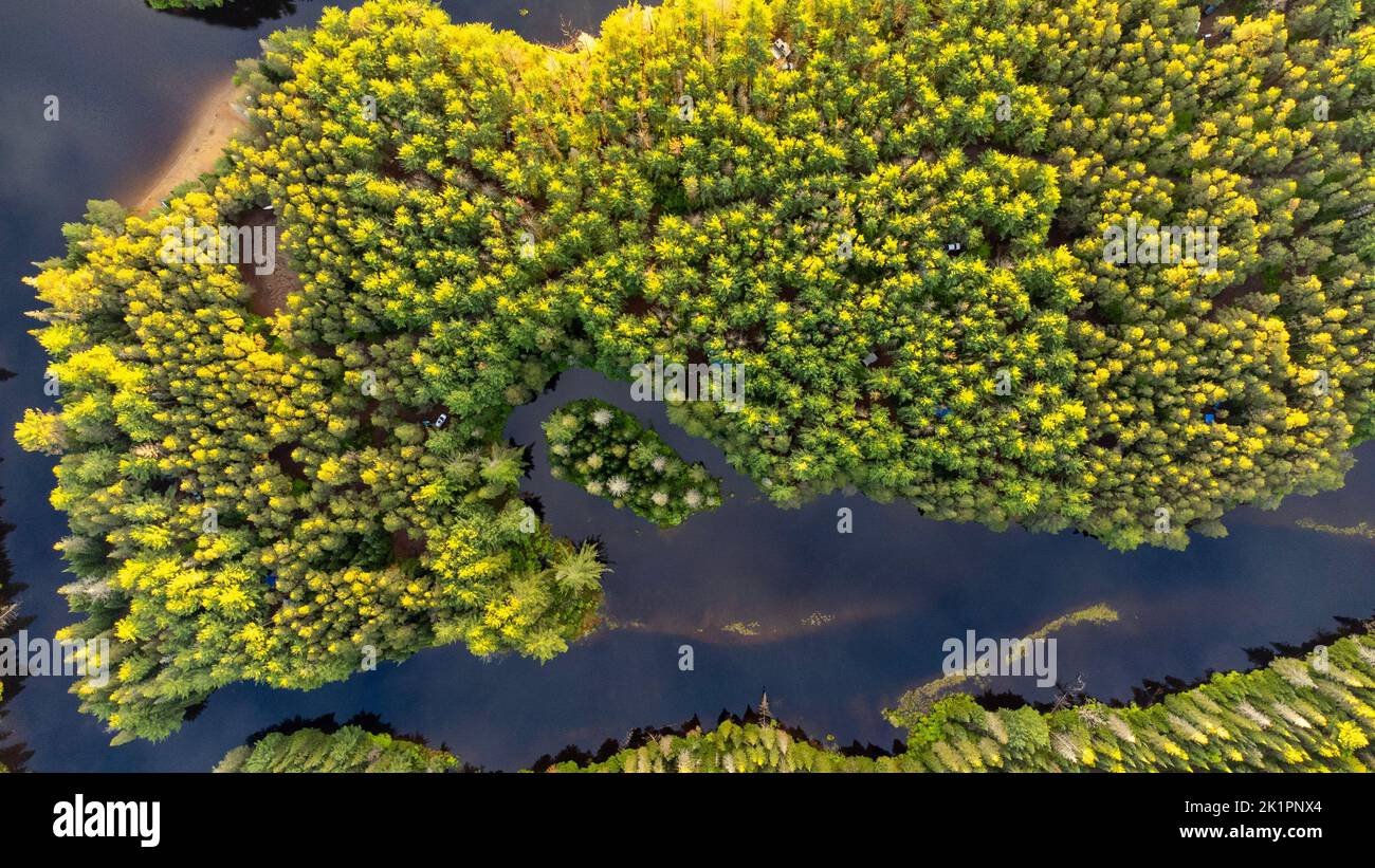Canada forest aerial hi-res stock photography and images - Alamy