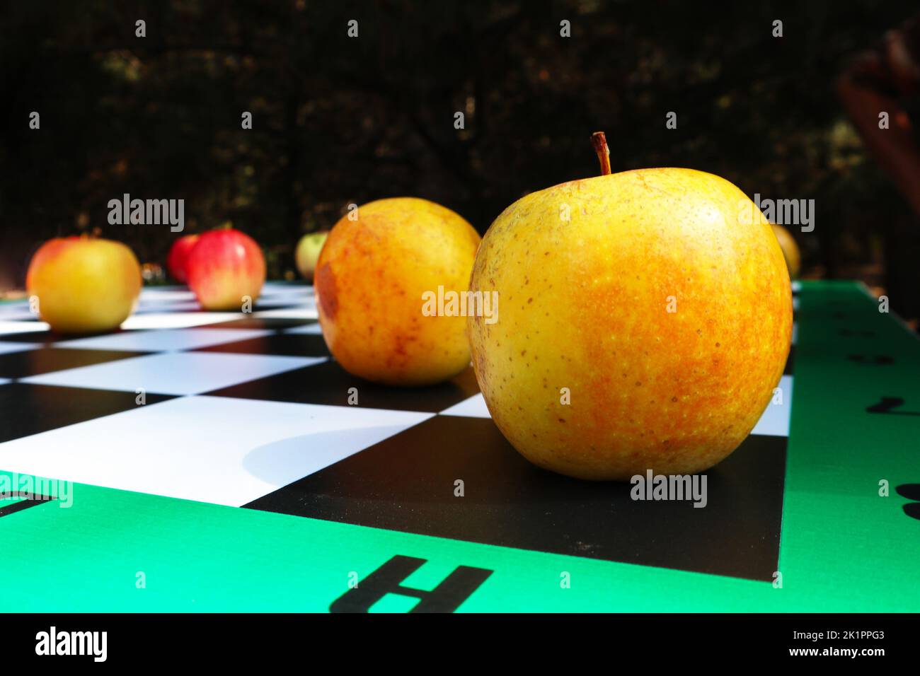 game checkers with red and green apples Stock Photo - Alamy
