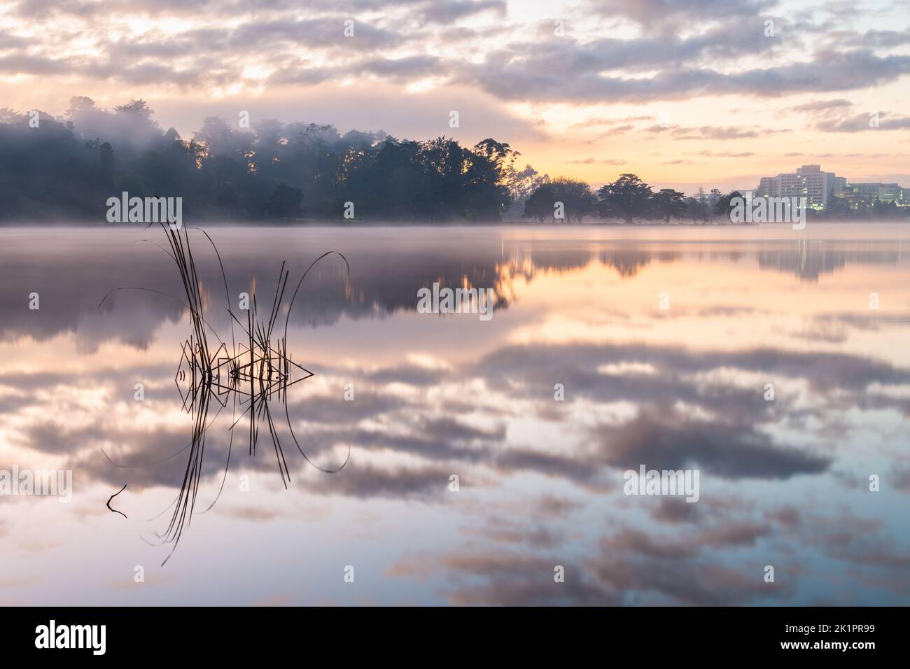 Fog drifting over Hamilton lake (also known as Lake Rotoroa) at sunrise ...