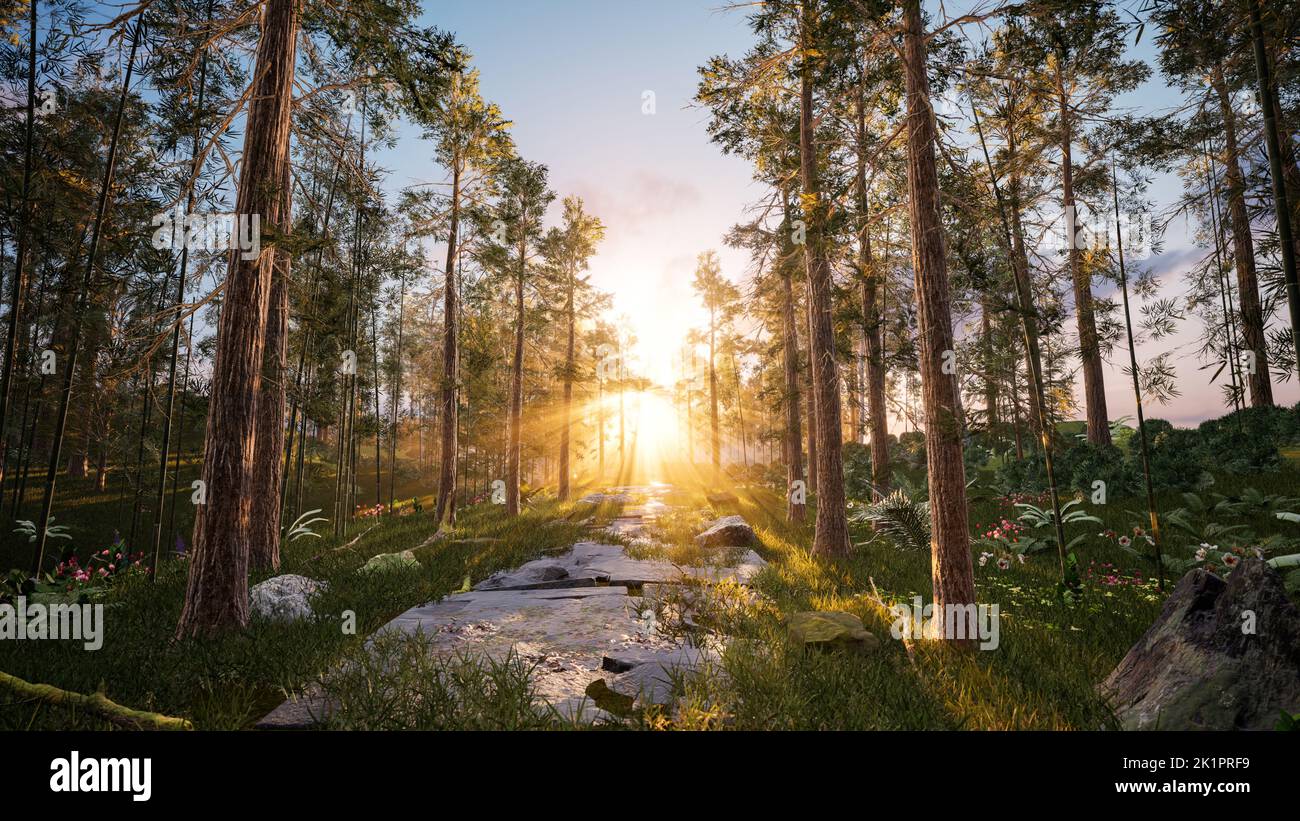Sunrise in the forest path with beautiful sun ray Stock Photo - Alamy