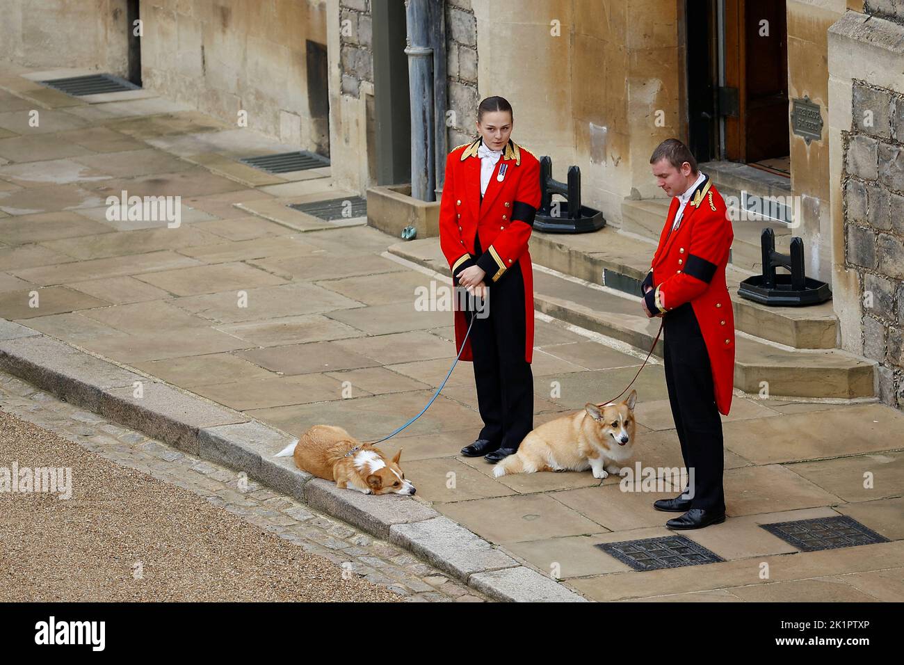 The Queen's corgis, Muick and Sandy are brought outside during the ...