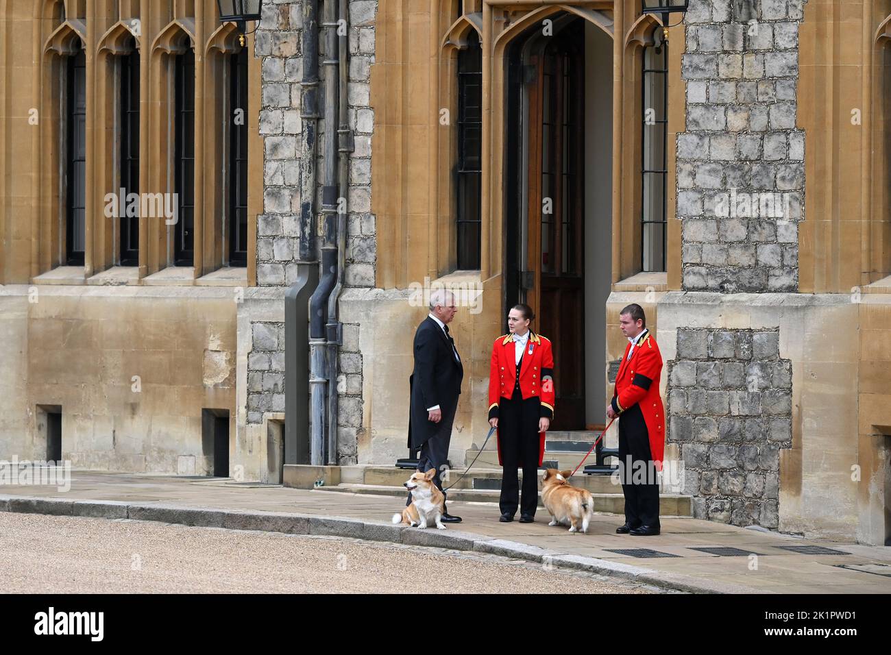 Queen's funeral corgis hi-res stock photography and images - Alamy