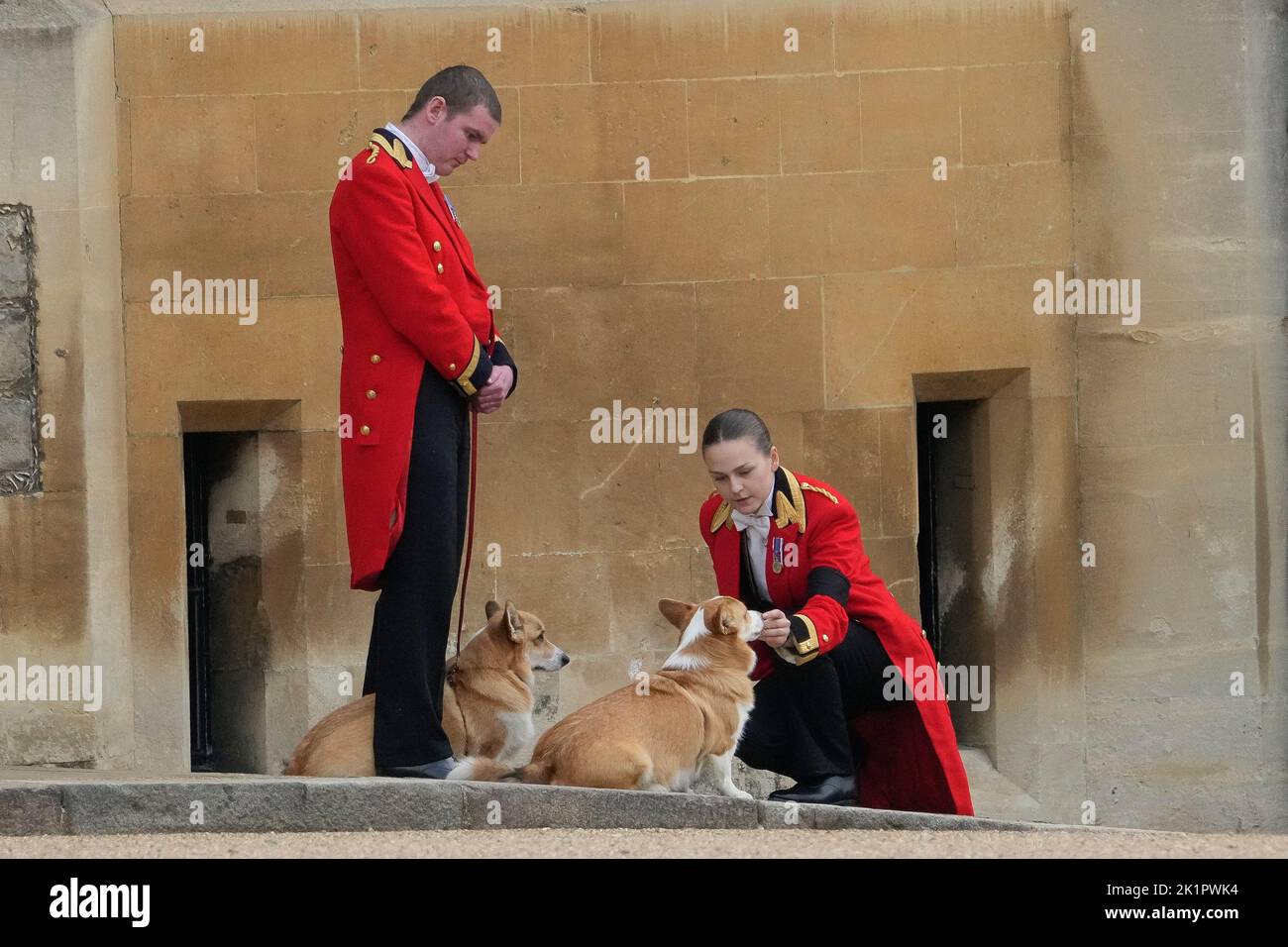 The Queen's corgis, Muick and Sandy are brought outside during the ...