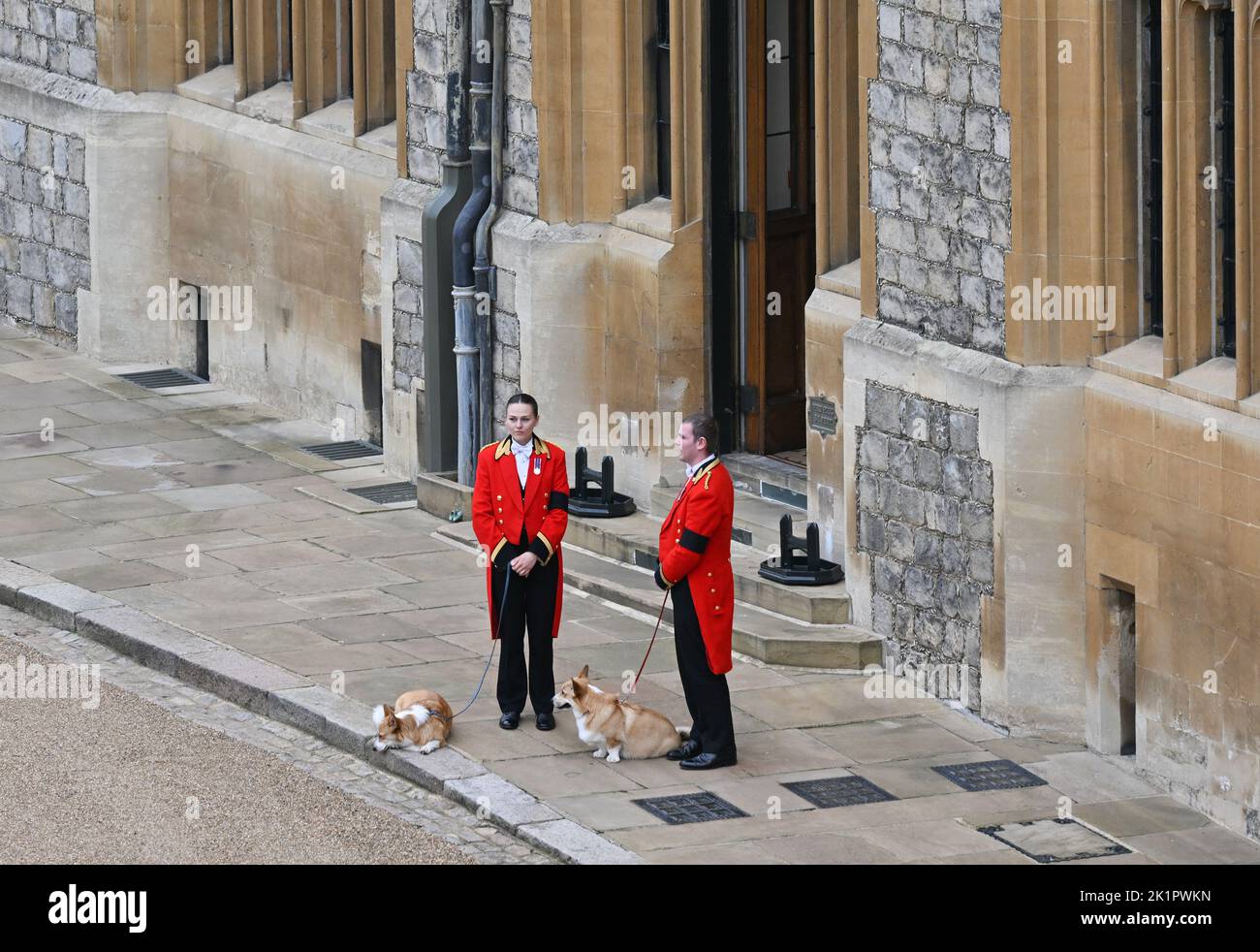 The Queen's corgis, Muick and Sandy are brought outside during the ...