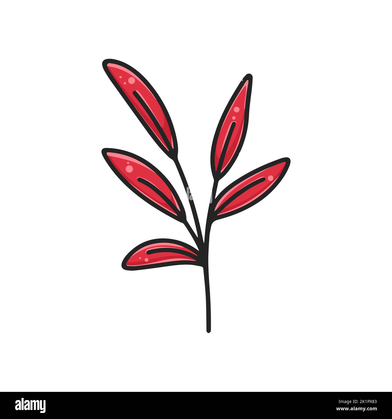 Beautiful leafy sprig rowan natural decoration clipart Stock Vector ...