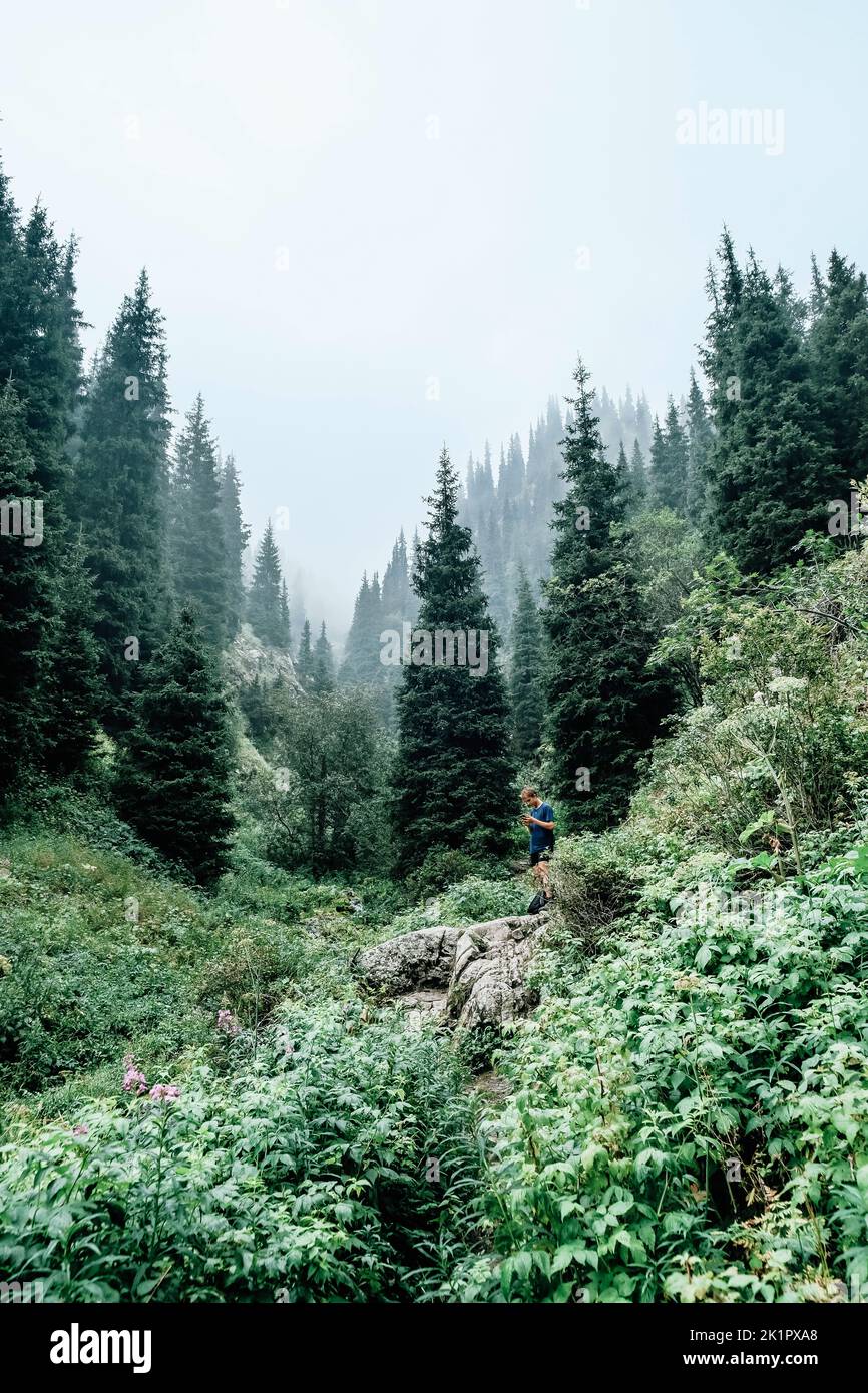 Magic forest in the mountains. Landscape nature panorama Stock Photo ...