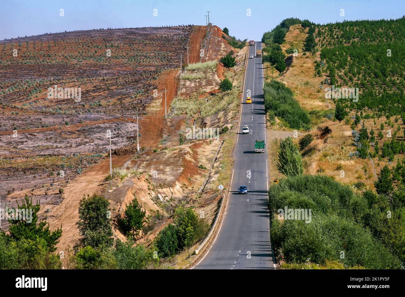 Chile, Victoria region - In the past deforestation by the timber trade ...