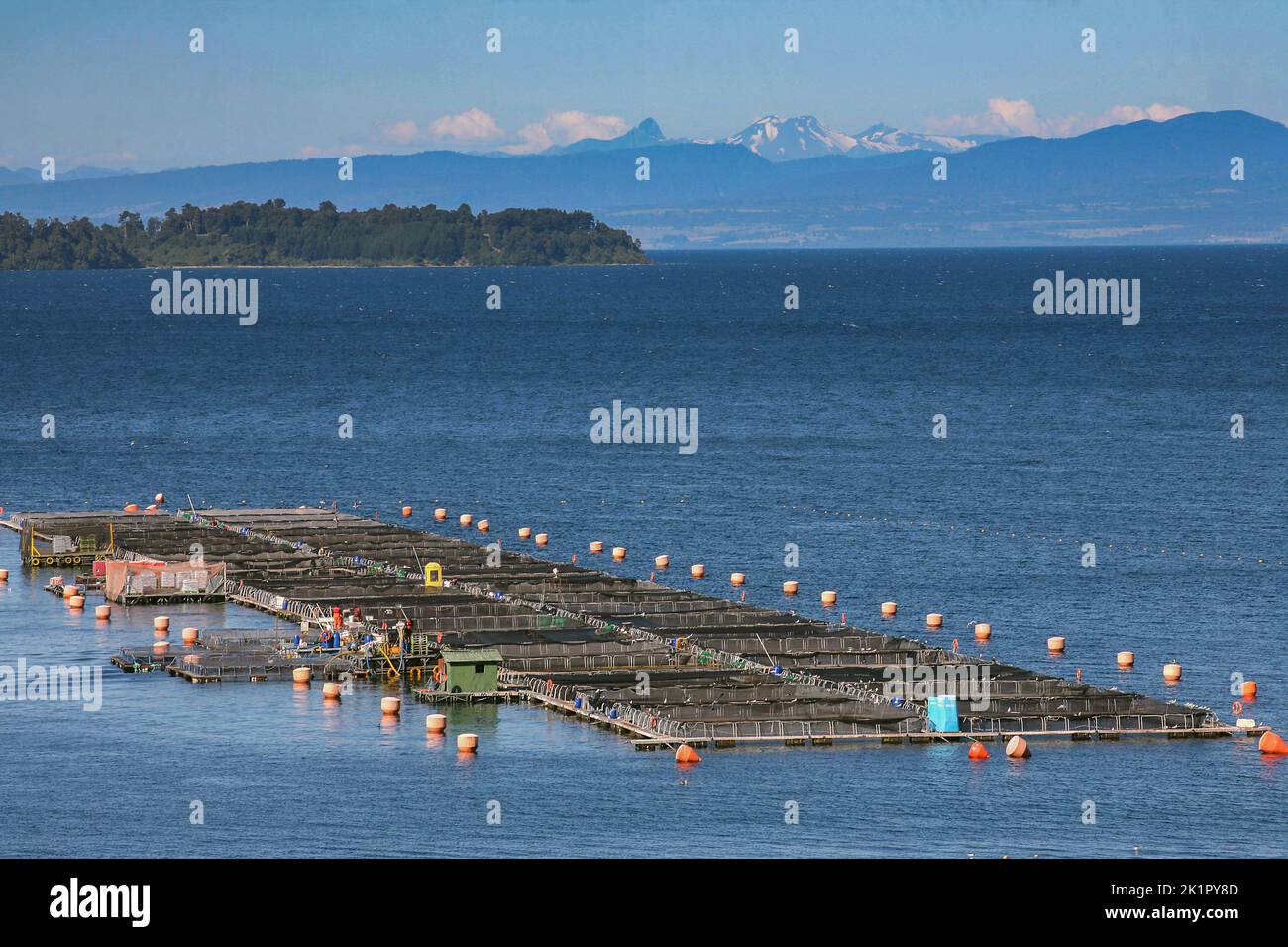 Salmon fish farm in chile hi-res stock photography and images - Alamy