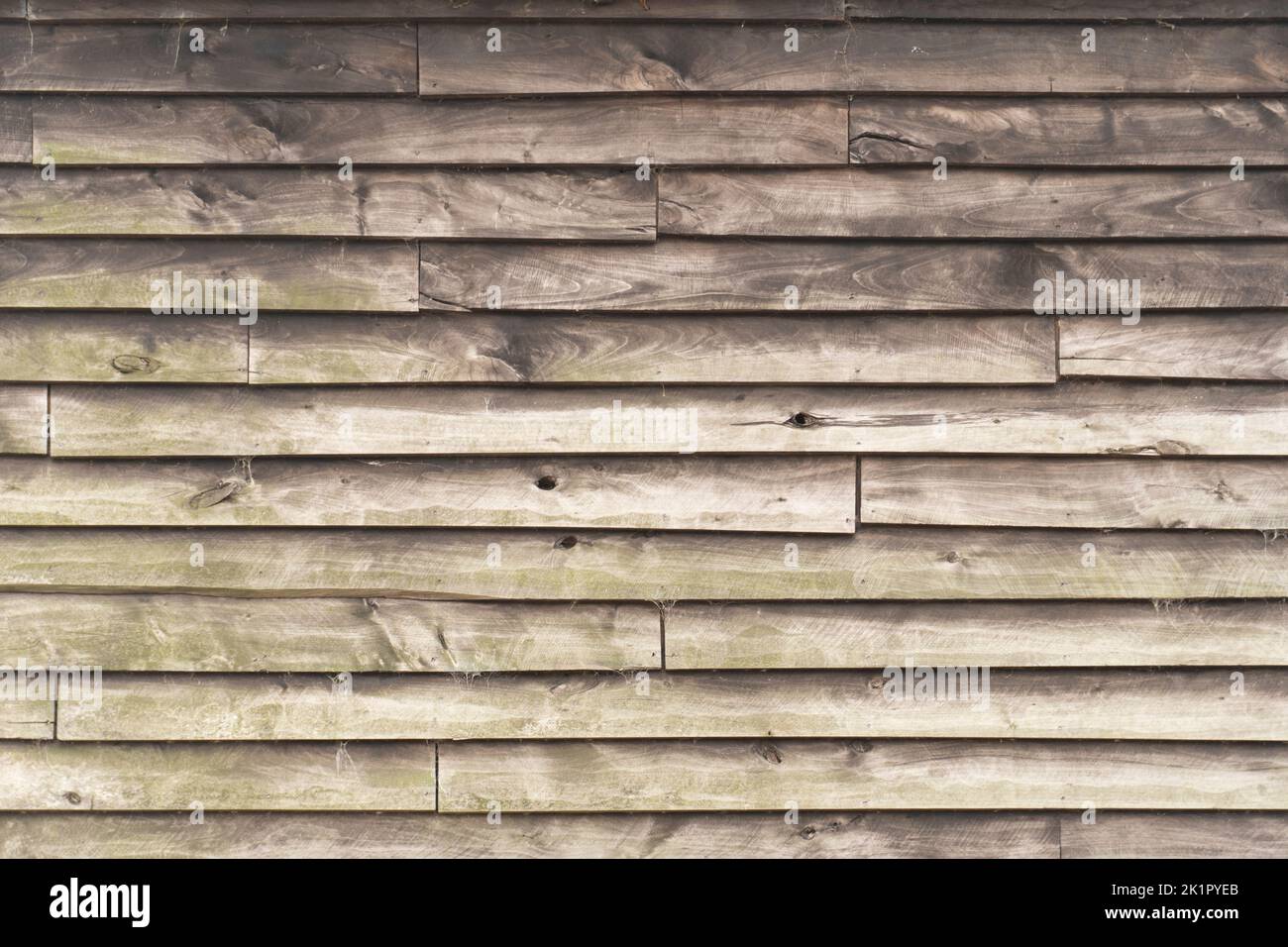 Rustic wood cladding texture, horizontal unpainted old wood planks ...