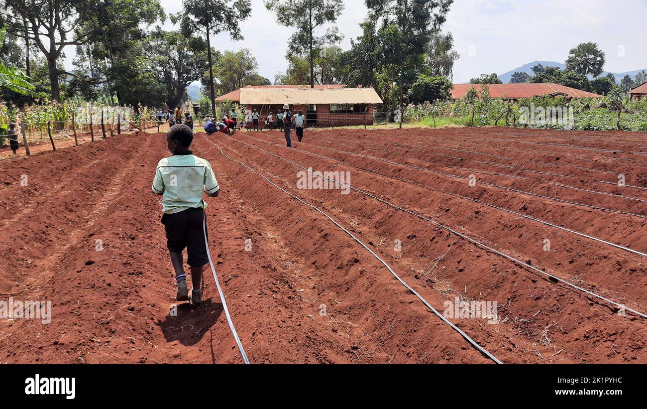 School kids were preparing their land to plant several fruit and ...