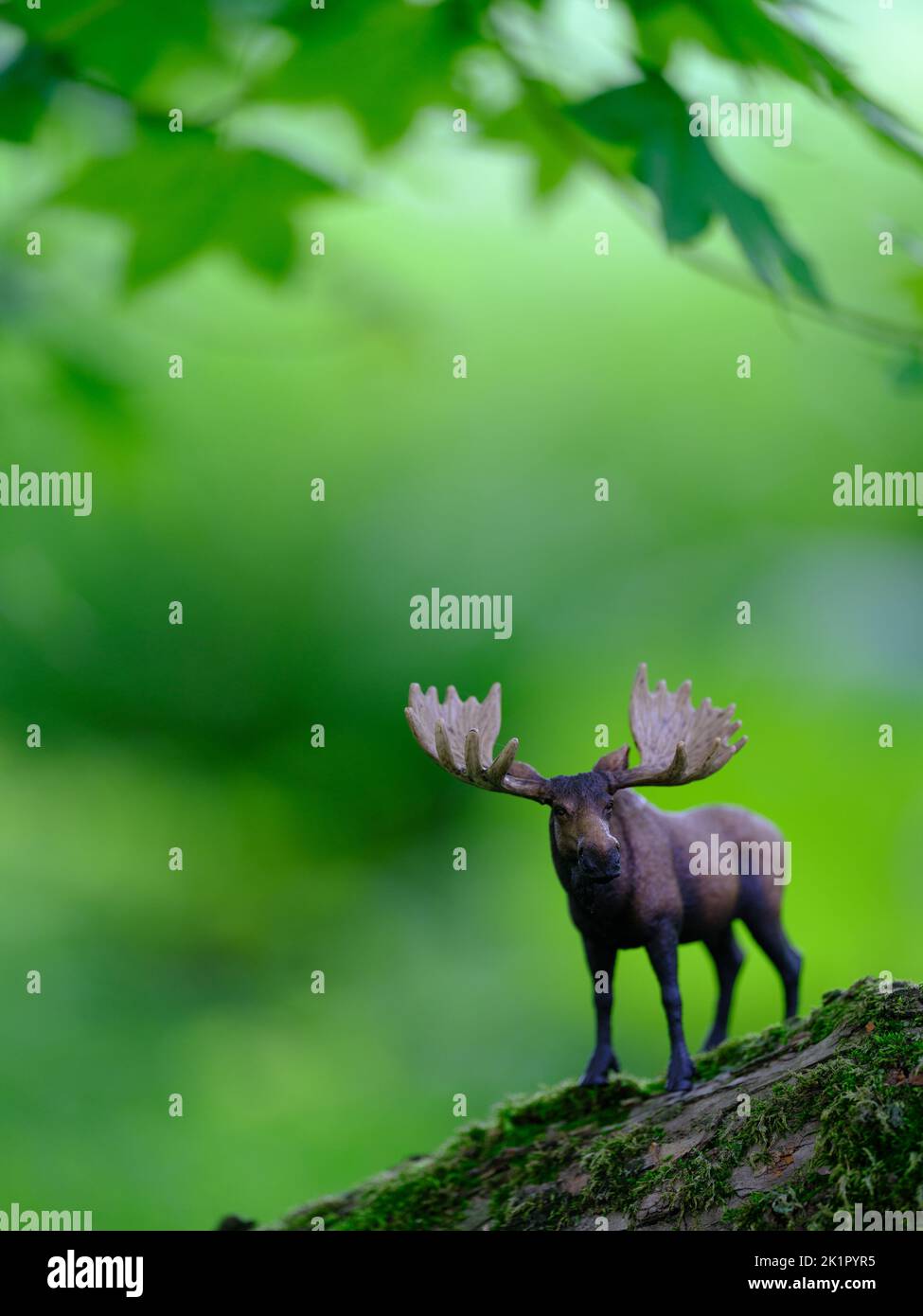 Figure moose hi-res stock photography and images - Alamy