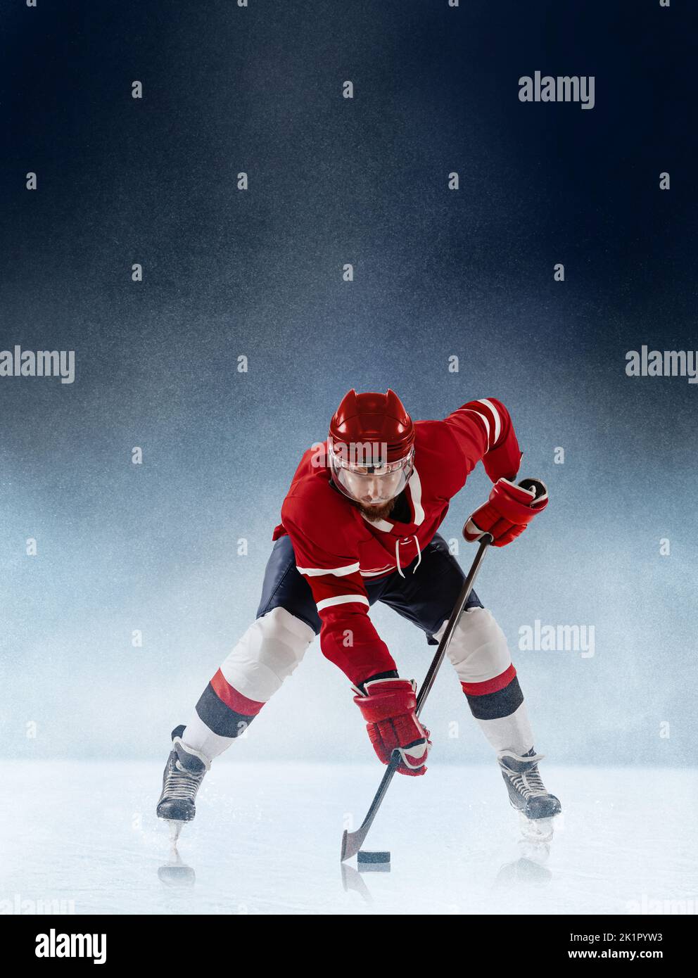 Face-off. Professional ice hockey player in action on white blue snow ...