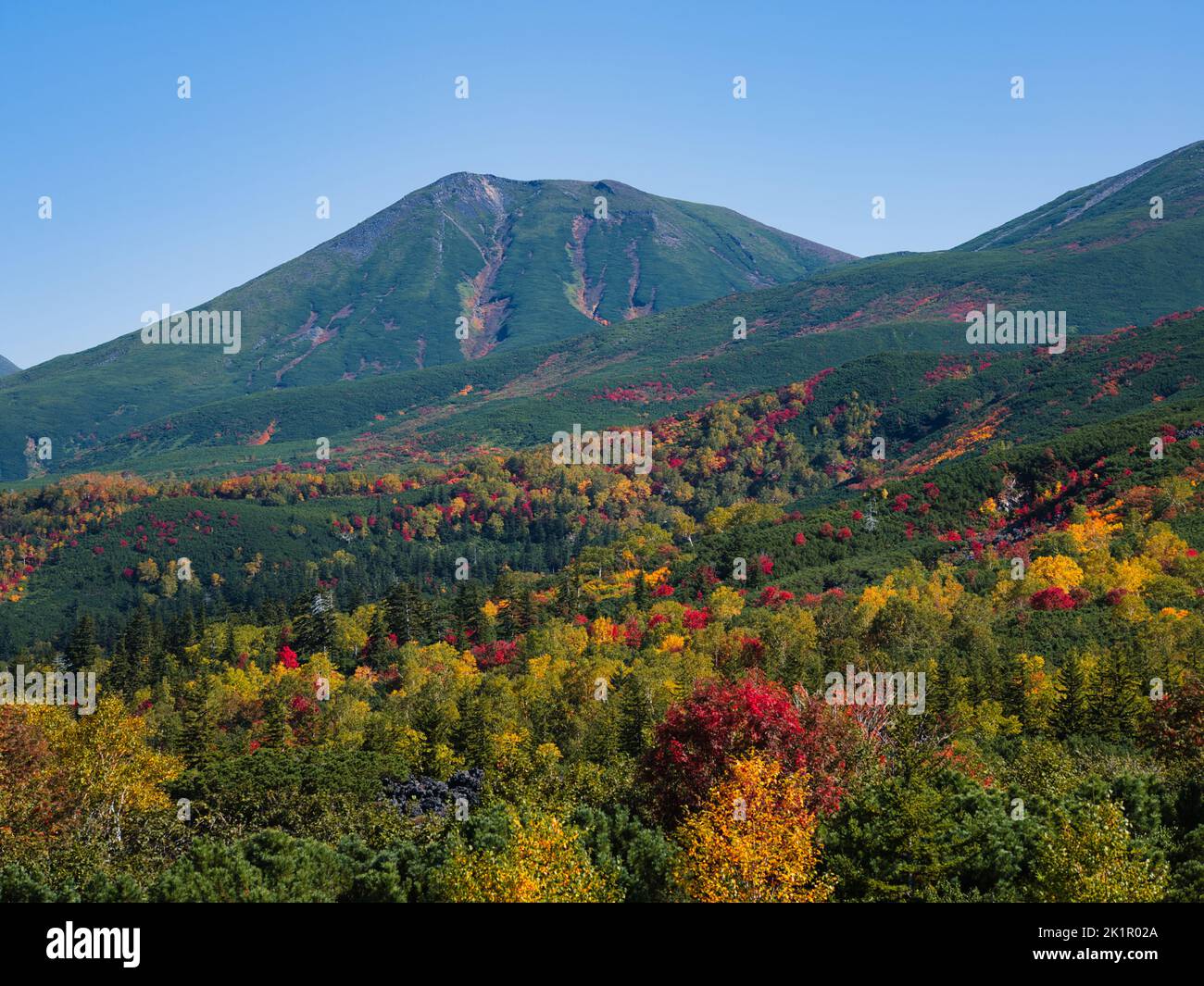 Autumn Leaves in Mt. Tokachi Observatory, Hokkaido, Japan Stock Photo ...