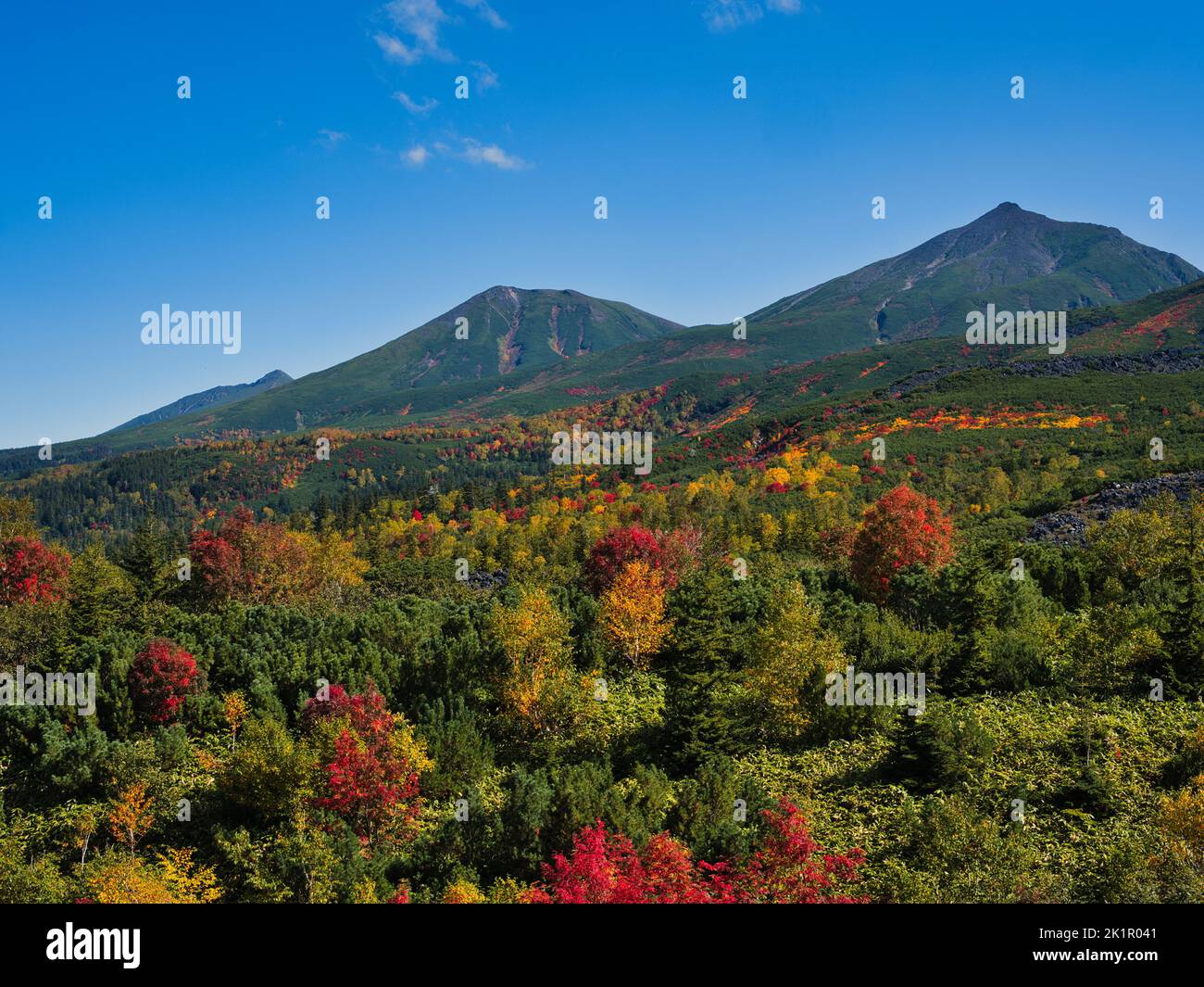 Autumn Leaves in Mt. Tokachi Observatory, Hokkaido, Japan Stock Photo ...
