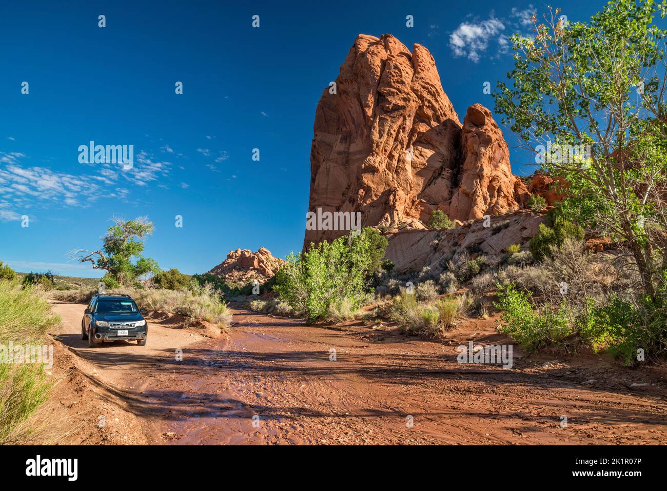Dirt road after flash flood, Burr Trail Road, Capitol Reef National ...