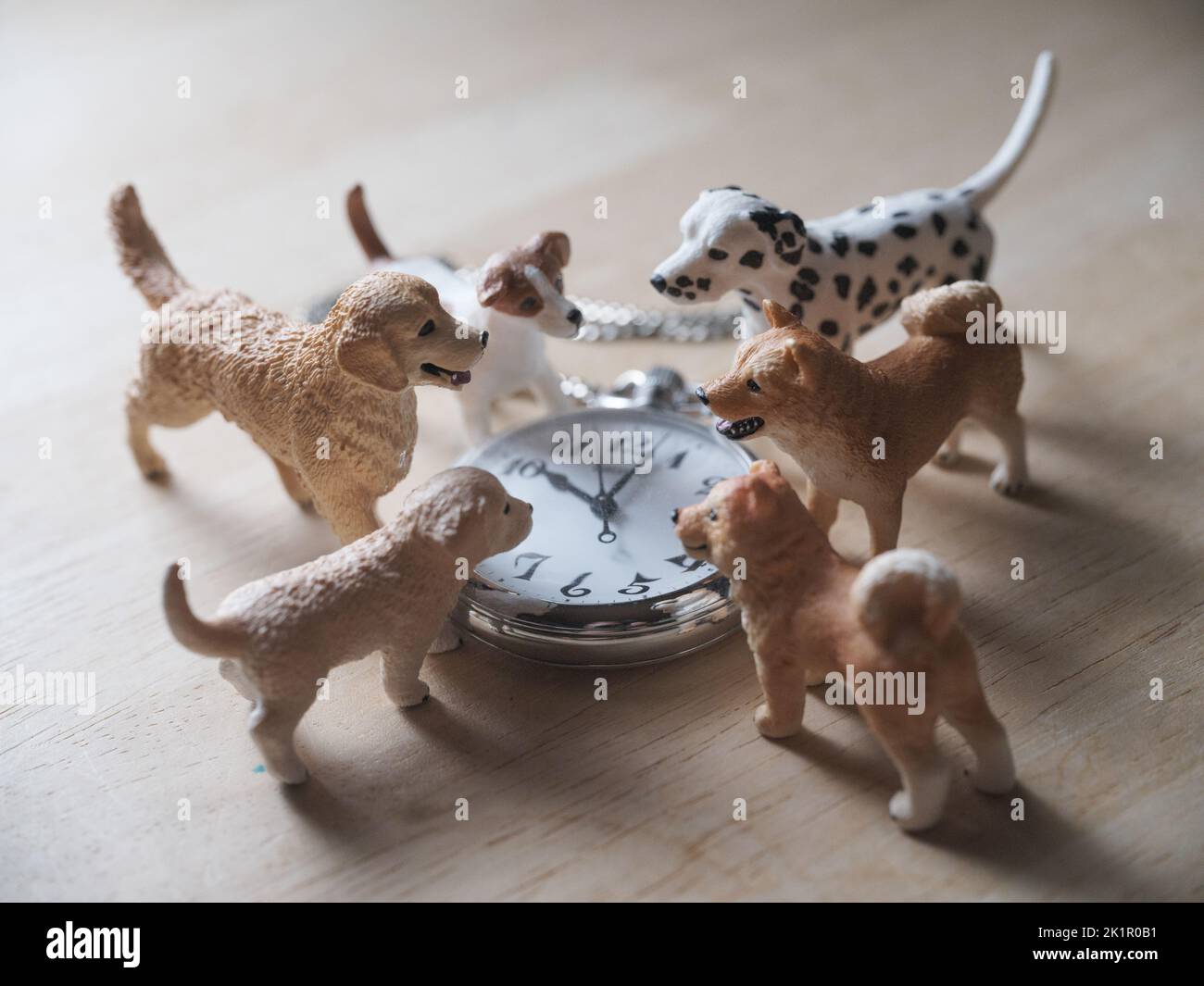 Dog Figure and Pocket Watch Stock Photo - Alamy