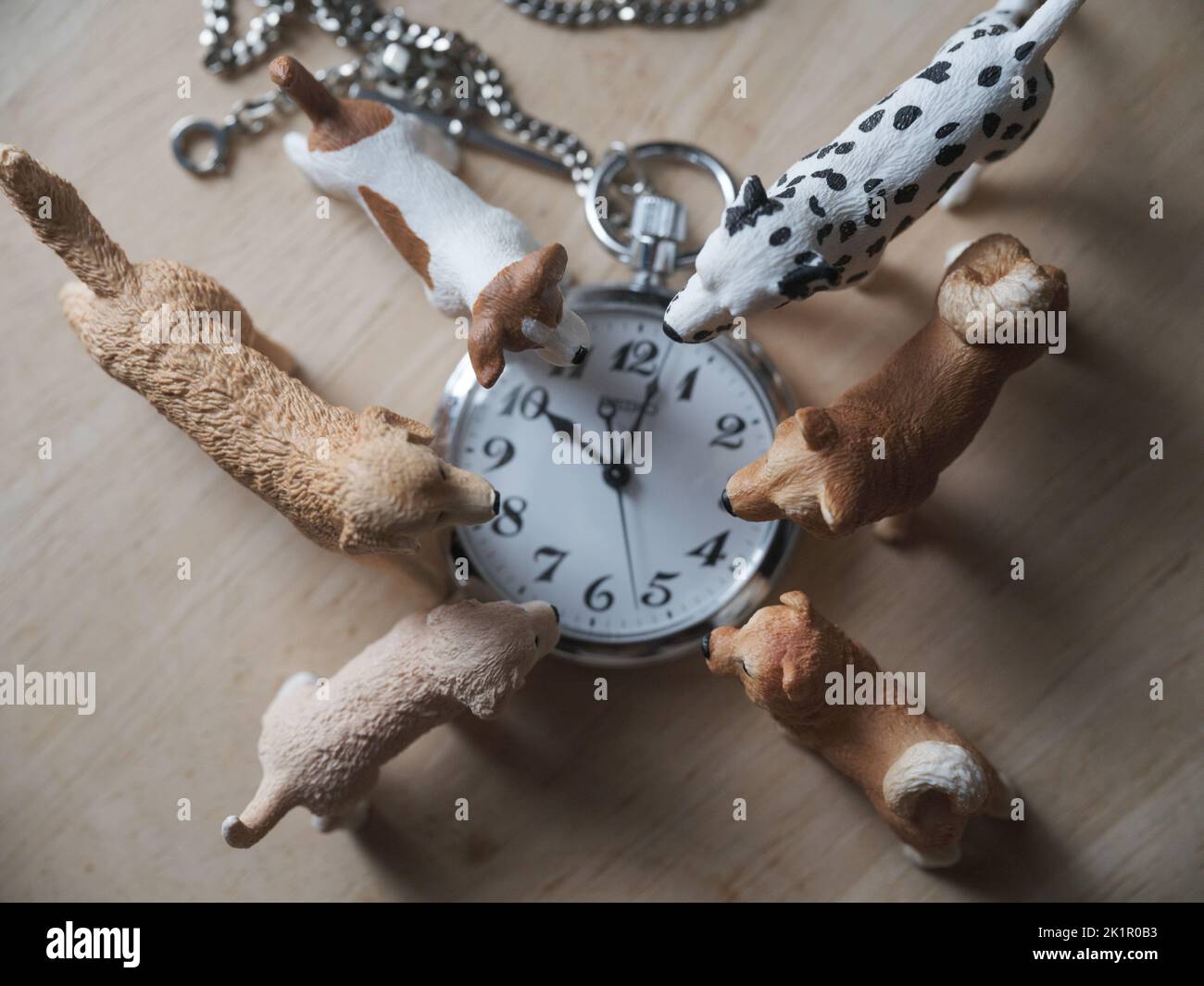 Dog Figure and Pocket Watch Stock Photo - Alamy