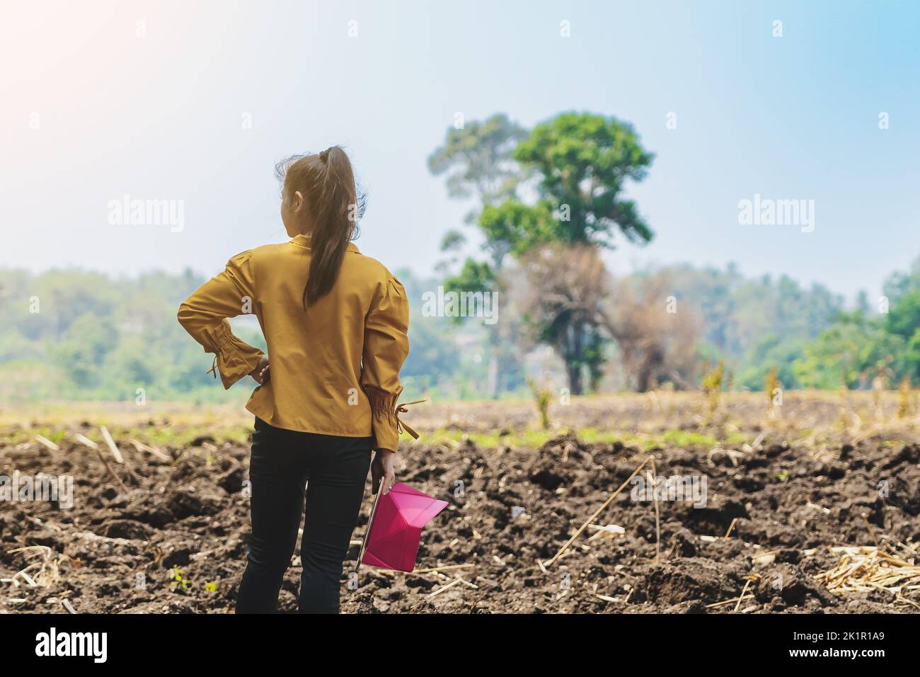 Back view of Asian young woman farmer stand alone with tablet to look ...